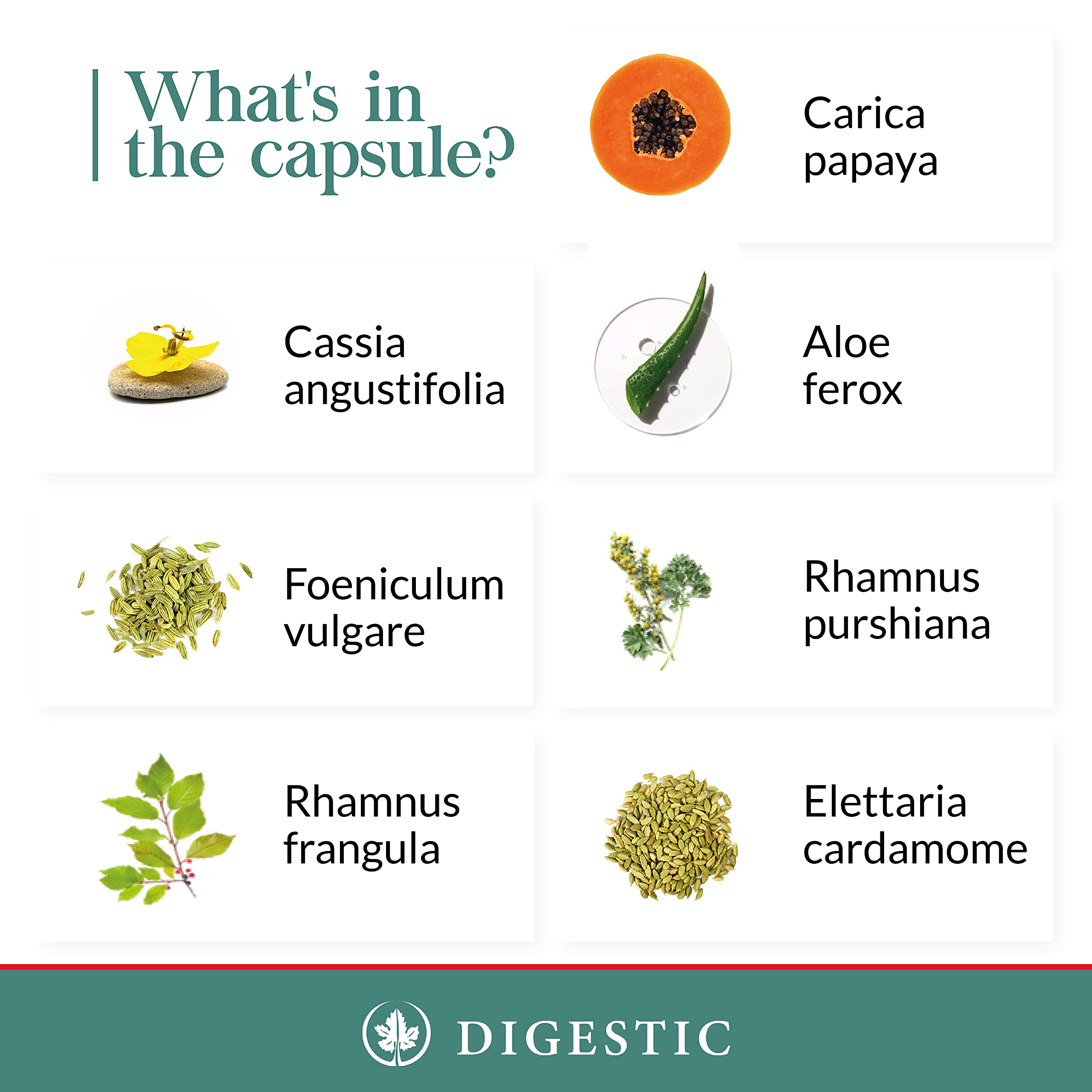 Digestic - Laxative for Constipation Relief, Stool Softener for IBS ...