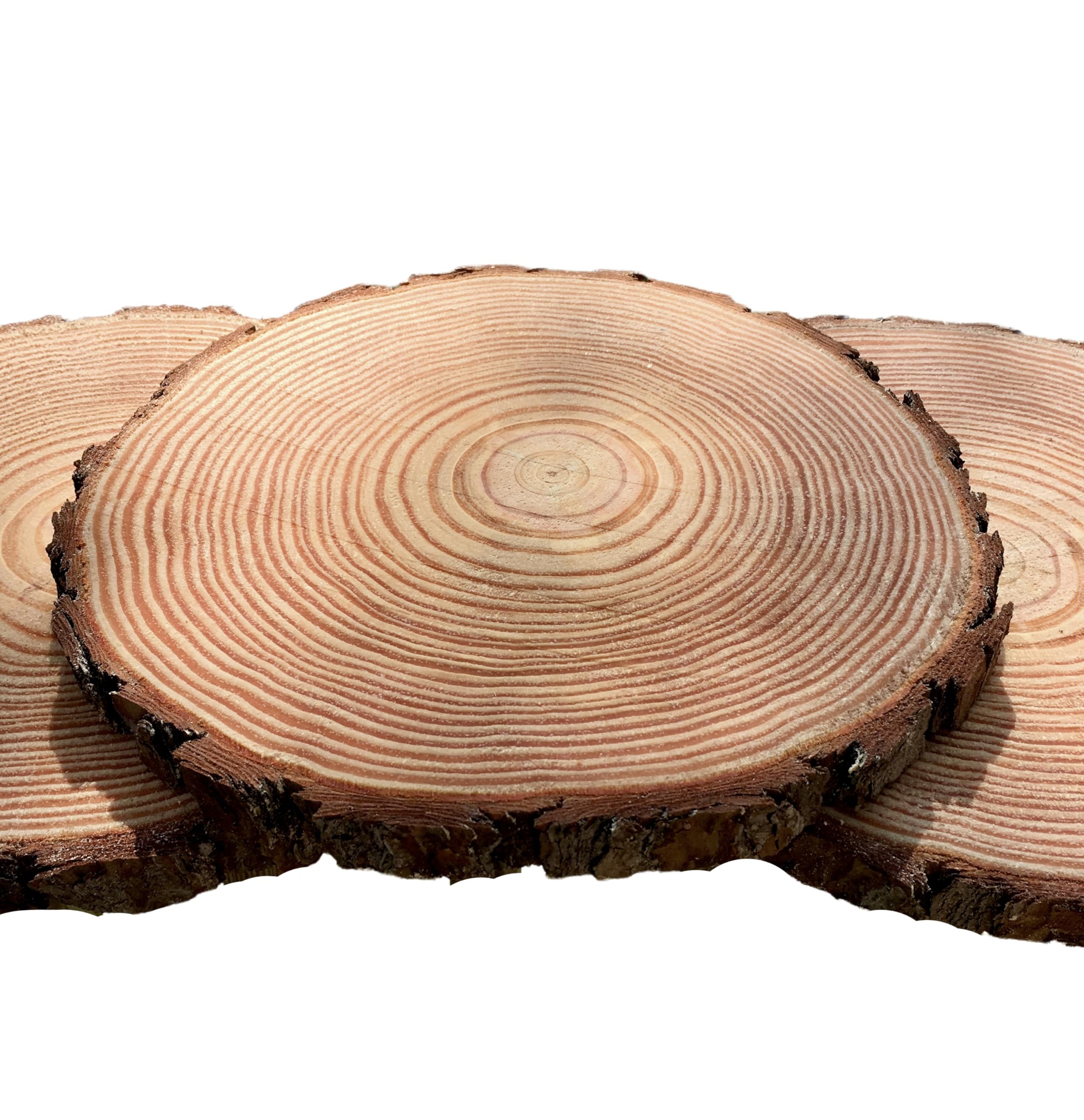 Set of (12) 9-10 inch wood slices for centerpieces! Wood slice ...