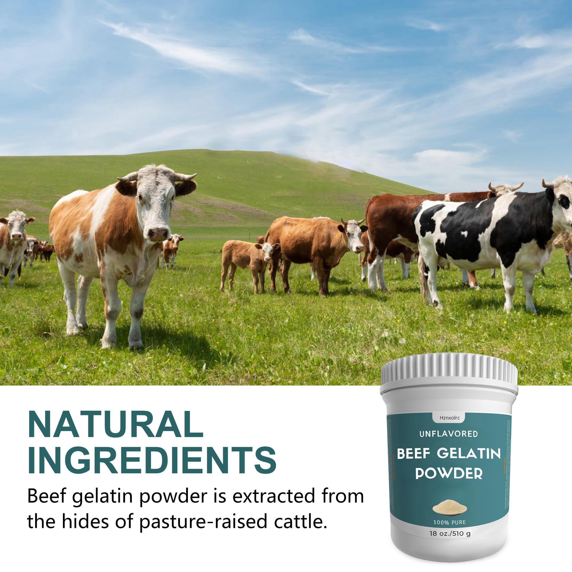Snapklik.com : 18 Oz Beef Gelatin Powder Unflavored, Natural Thickener ...