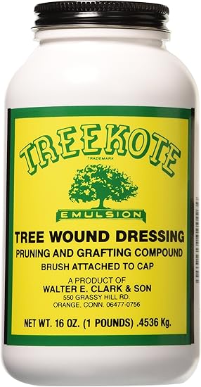 Amazon.com : Treekote Tree Wound Dressing Brushtop 16OZ Brushtop for ...