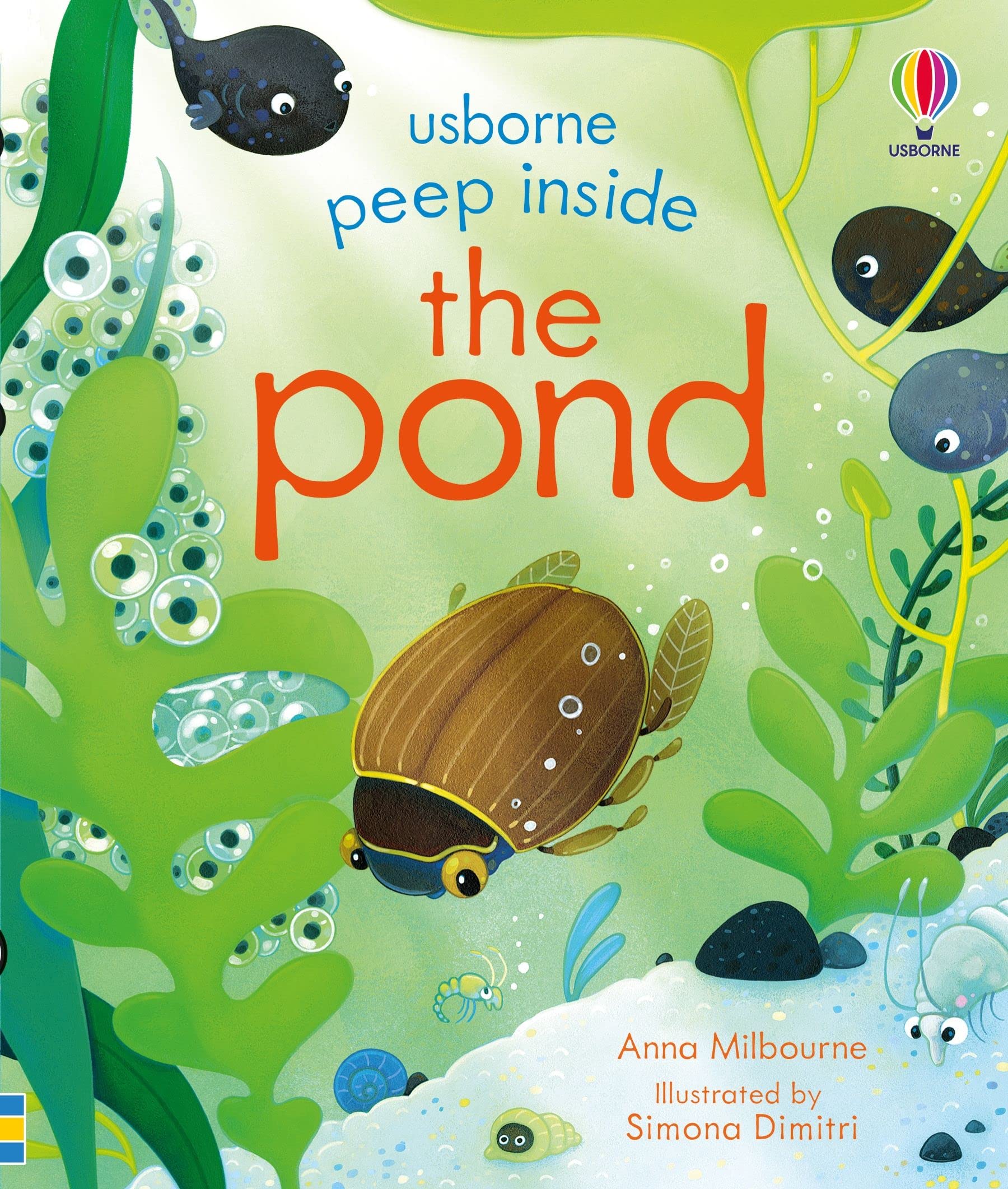 Peep Inside the Pond : Milbourne, Anna, Dimitri, Simona: Amazon.co.uk ...