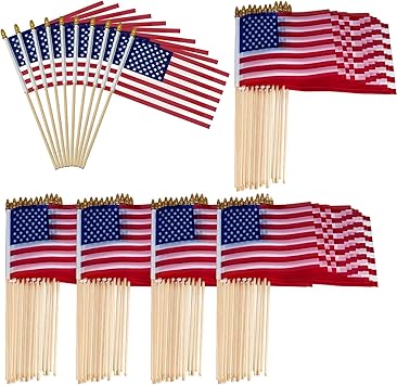 Amazon.com : 110 Pcs Small American Flags on Stick - 8 x12 Inches Mini American Flags with ...