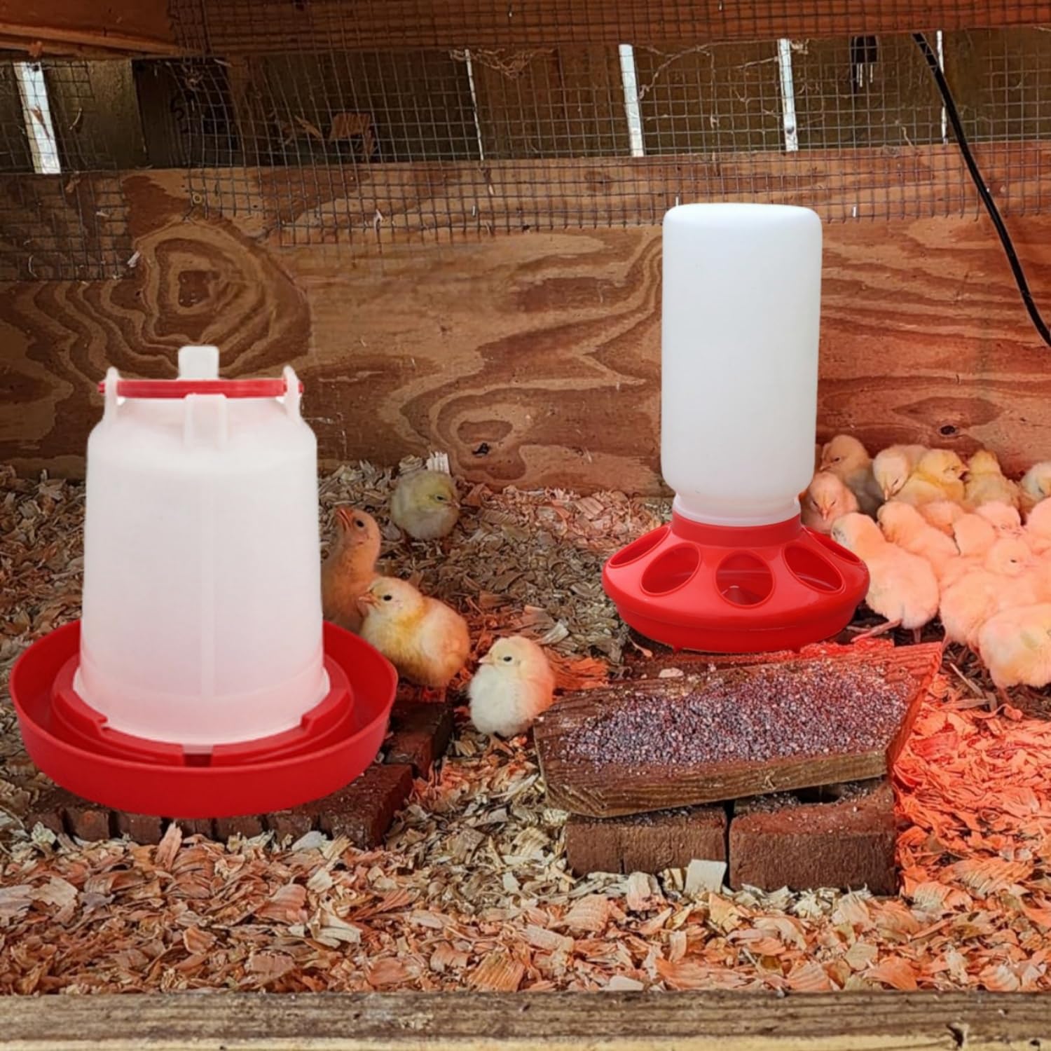 Snapklik.com : DoubleWood Feeder & Waterer Combo Chicken Chick Poultry ...