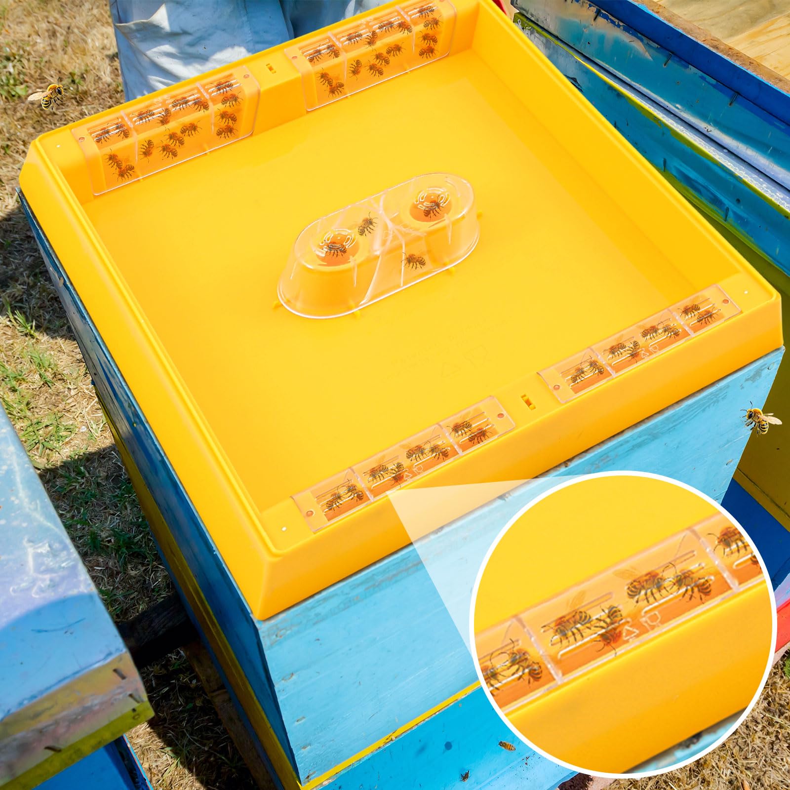 Snapklik.com : 10 Frame Bee Top Feeder, Assembled Plastic Beehive ...