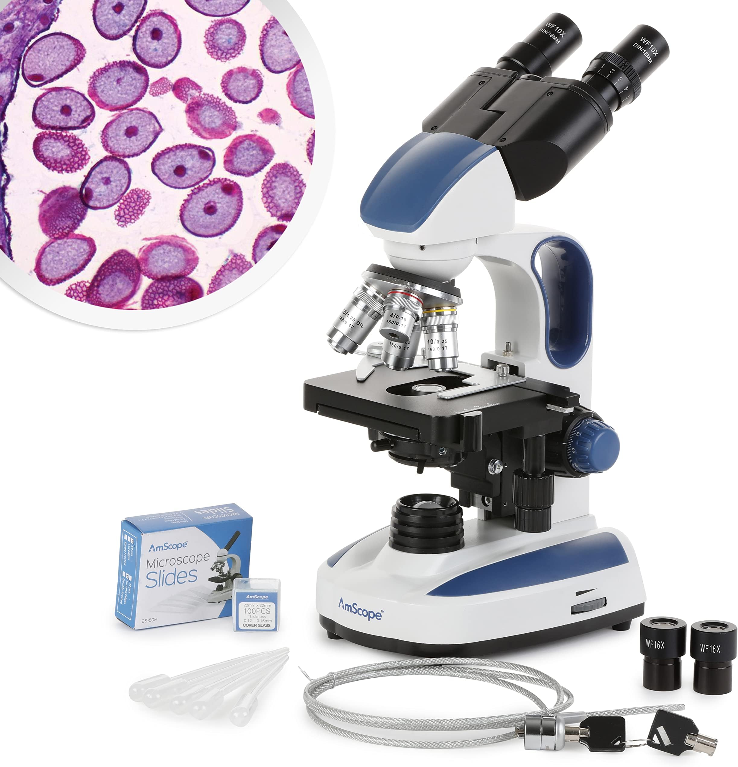 Amazon.com: AmScope - 40X-1000X Advanced Student and Professional ...