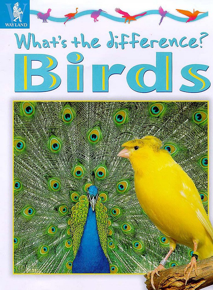 What's The Difference?: Birds : Amazon.com.mx: Libros