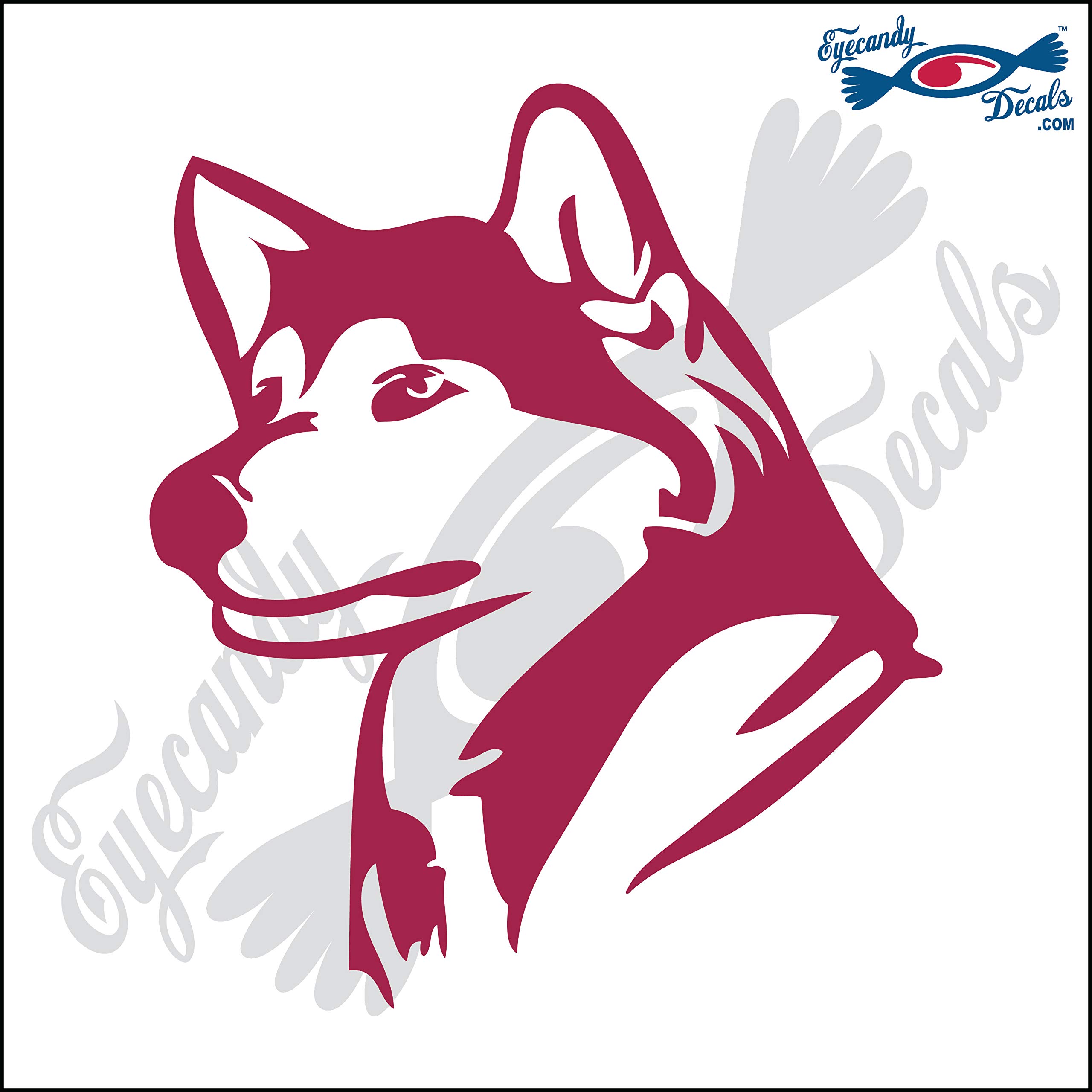 Dark Red Husky