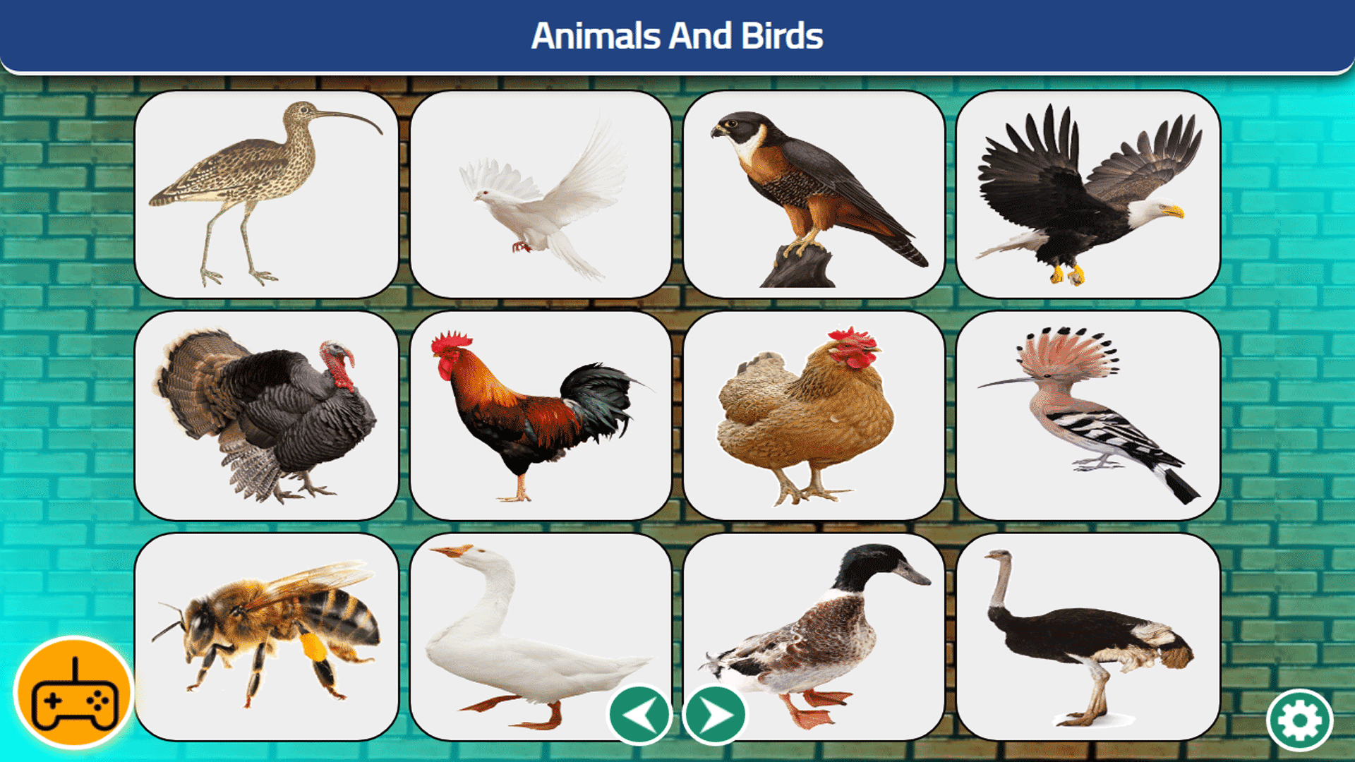 Animal and birds sounds Animal and bird sounds with a game to enhance ...