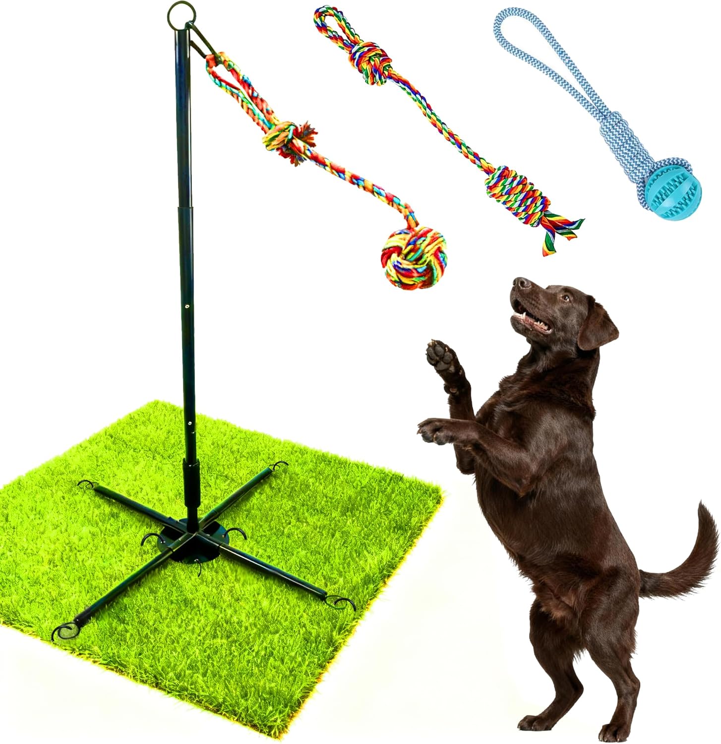 Pet Supplies : Vechor Tether Tug Outdoor Dog Toy, Interactive Exercise ...