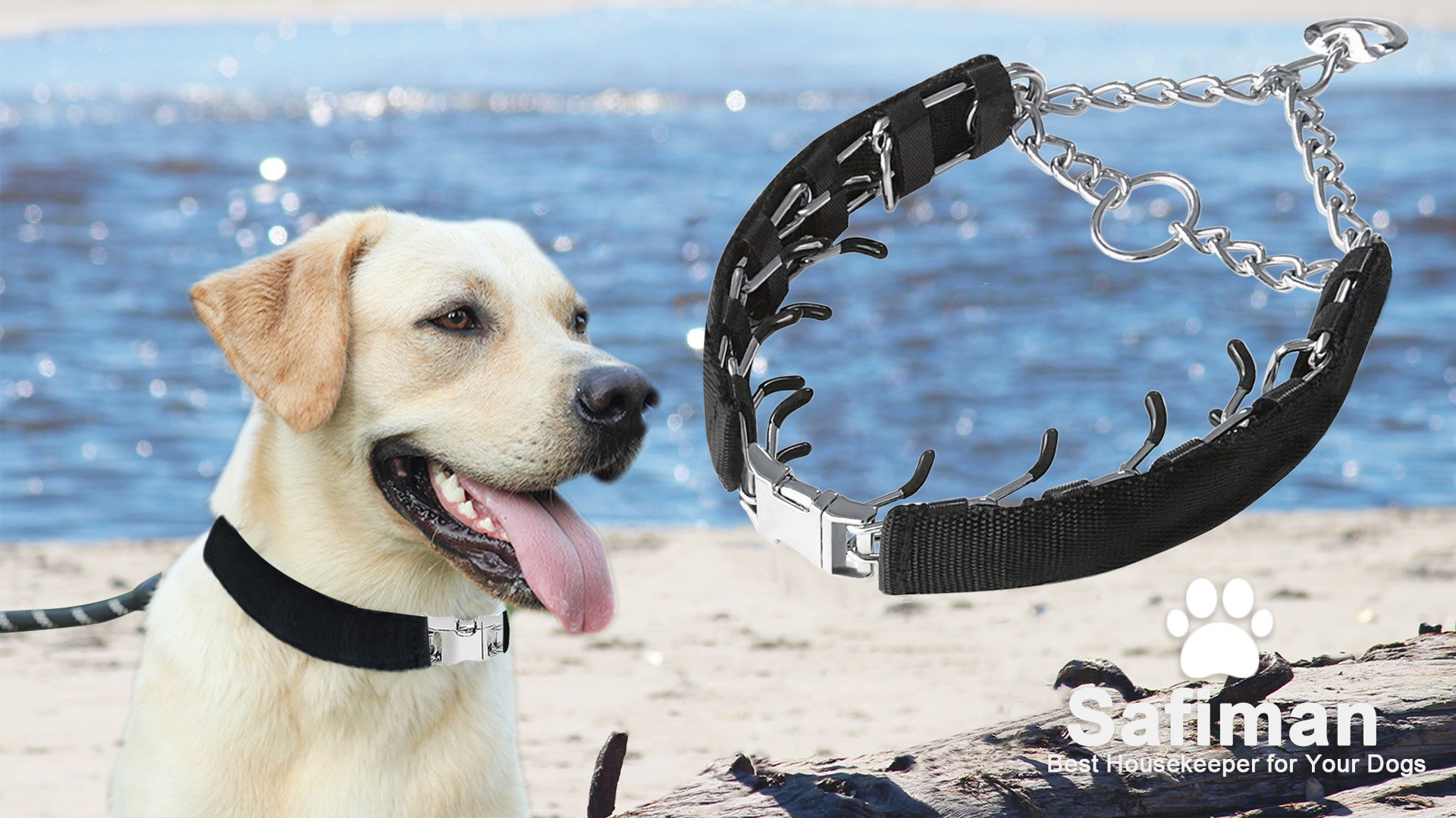 Dog Whistle Included Training Pinch Collar With Rubber Tips And Whistle ...