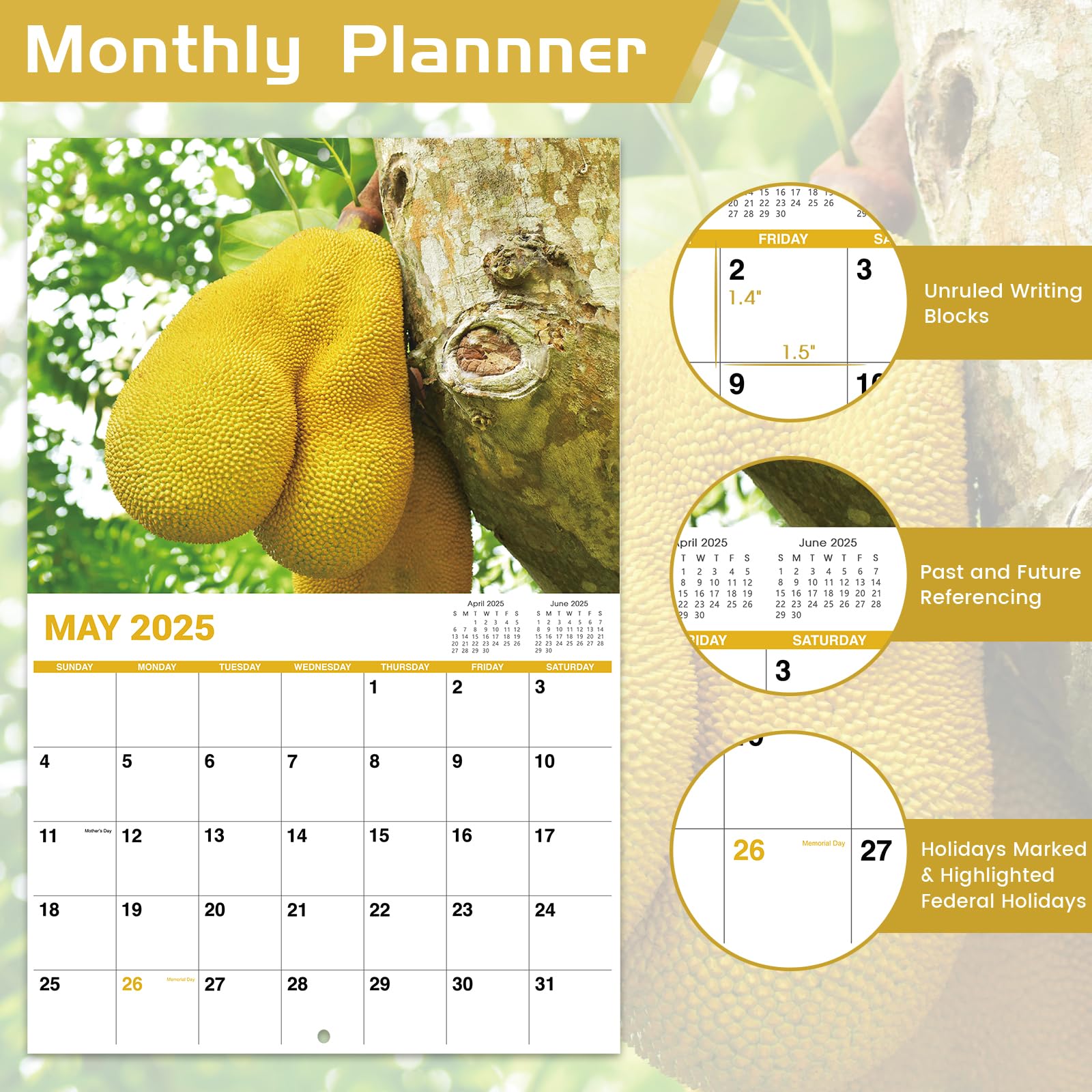 Funny Calendar 2025 2025 Butts On Things Wall Calendar - Hilarious ...