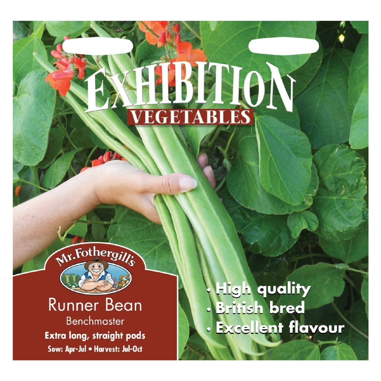 Mr Fothergill?s Seeds Ltd 24932 Vegetable Seeds, Runner Bean ...