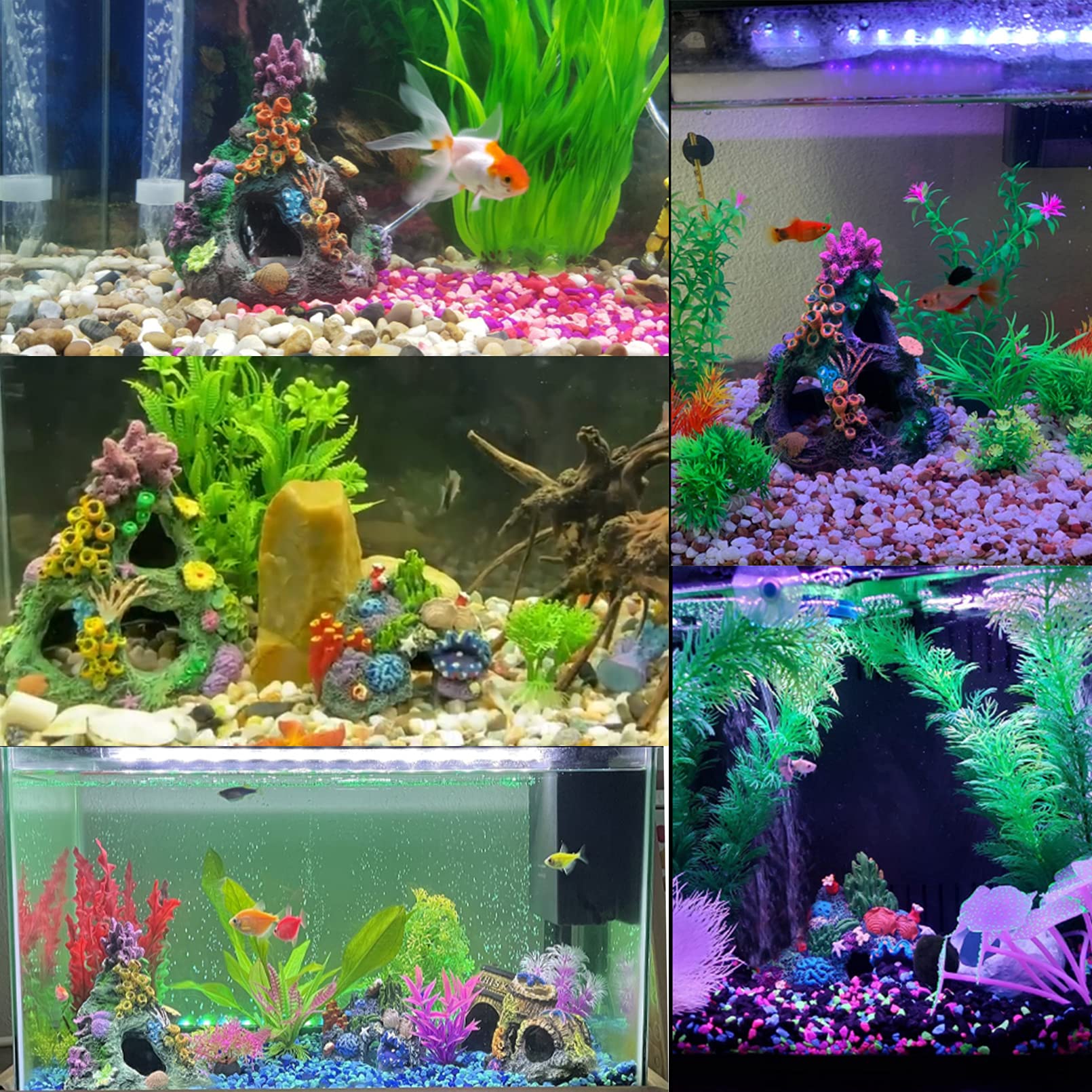 Fish Tank Decorations Ideas