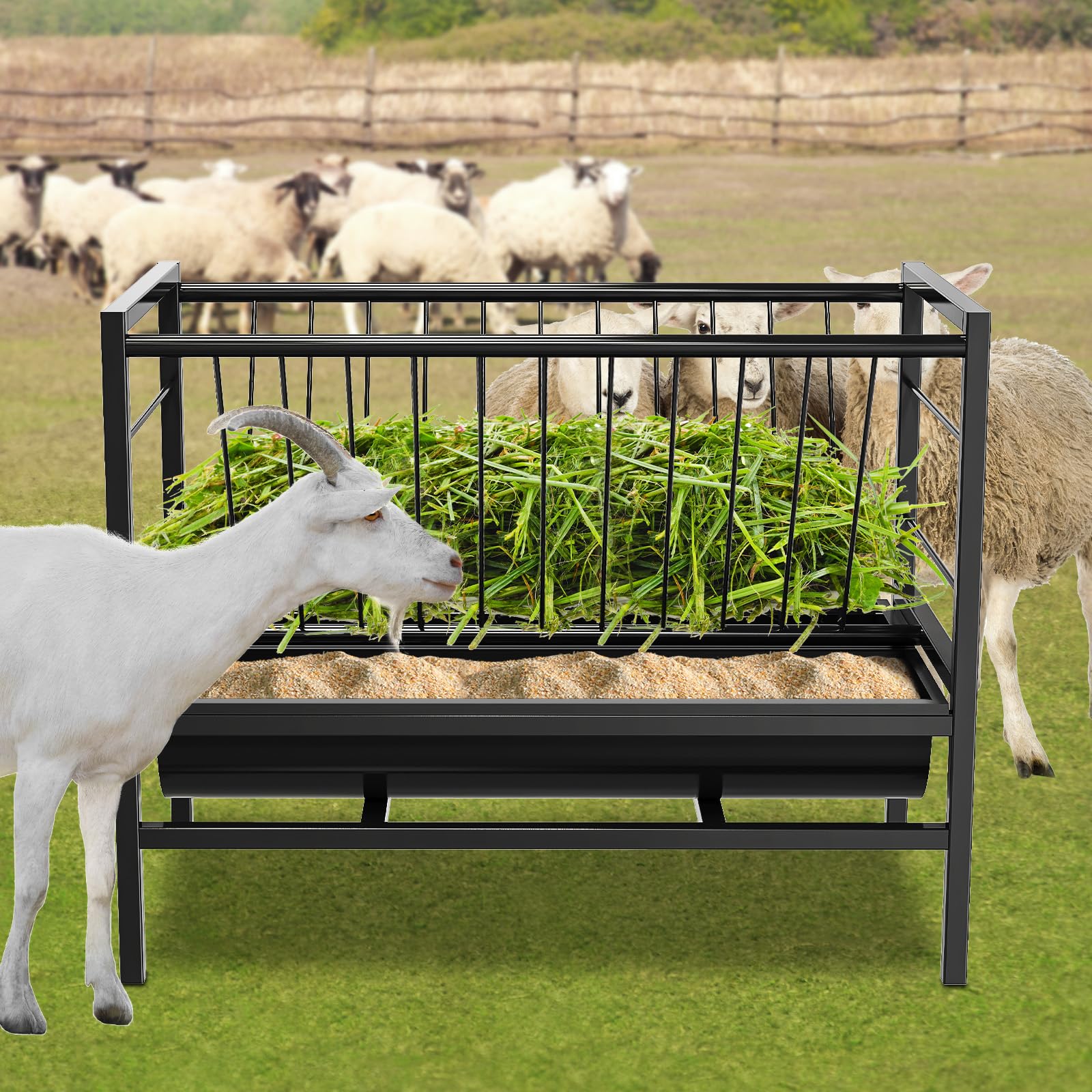 Amazon.com : LZWUNYXE Pasture Hay Feeder for Goat,2 in 1 Goat Feeder ...
