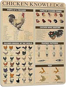 Amazon.com: Chicken Knowledge Metal Tin Sign Chicken Breeds of The ...