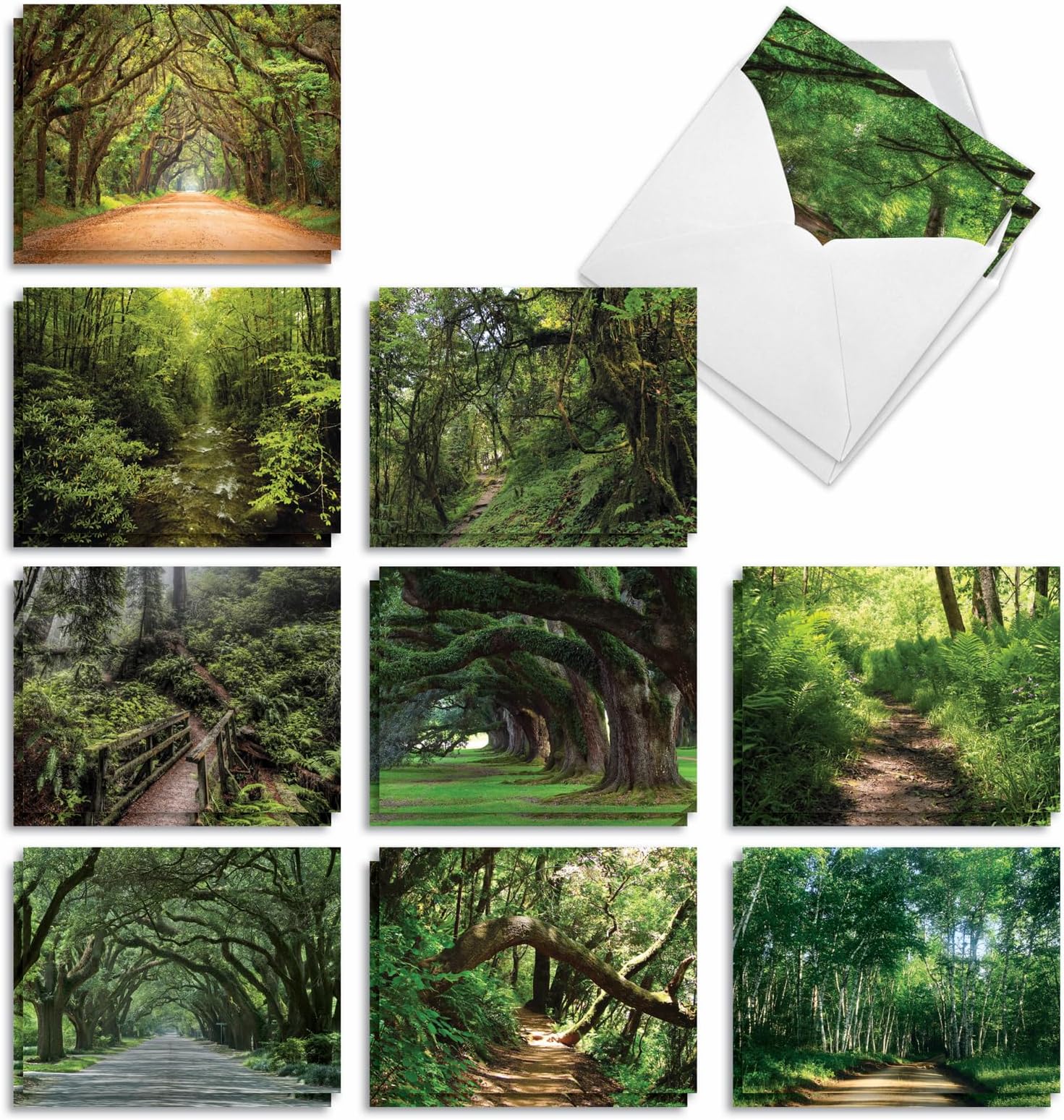 Amazon.com : Note Card Cafe All Occasion Greeting Cards with Kraft ...