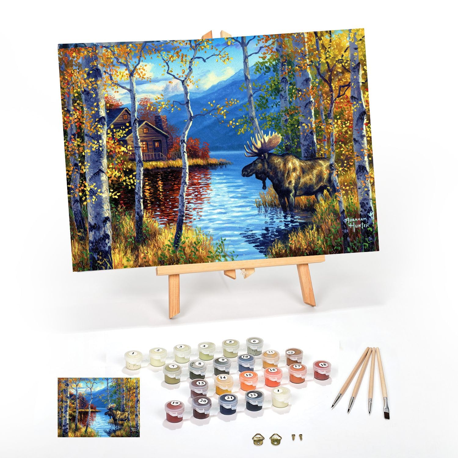 Ledgebay DIY Paint by Numbers Kit for Adults Framed Canvas Beginner to ...