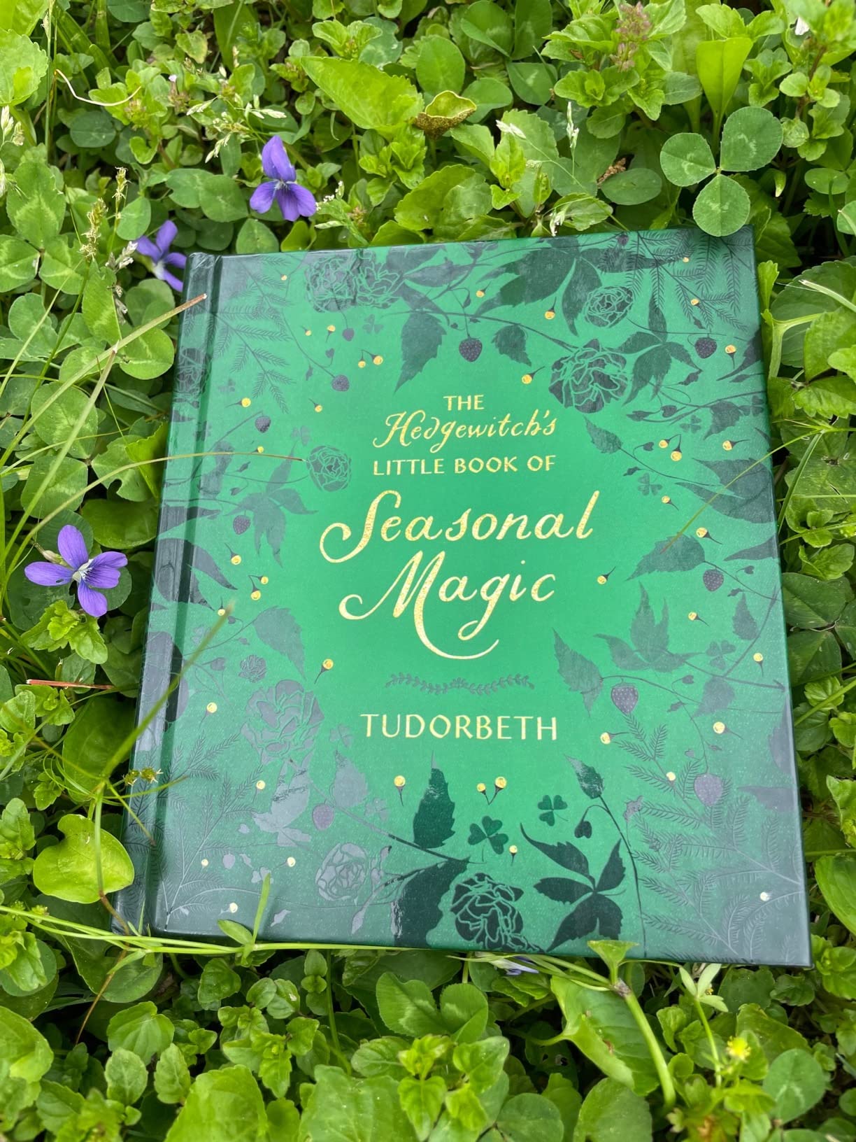 The Hedgewitch's Little Book of Seasonal Magic (The Hedgewitch's Little ...