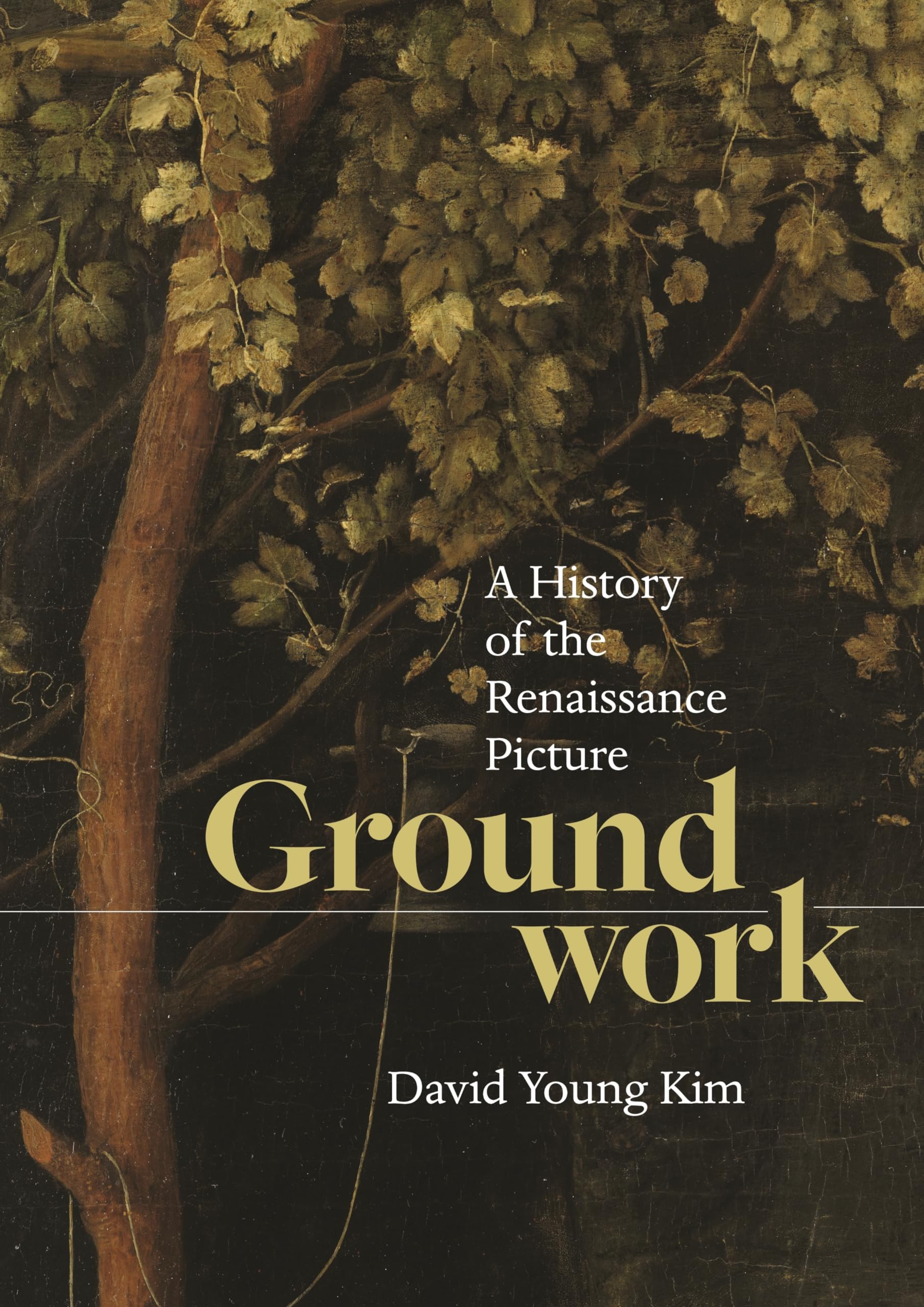 Groundwork: A History of the Renaissance Picture: Kim, David Young ...