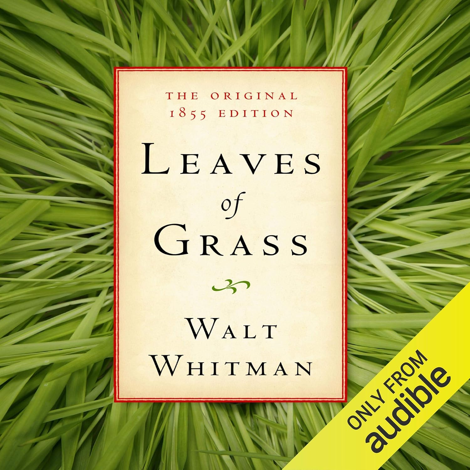 Amazon.com: Leaves of Grass: The Original 1855 Edition (Audible Audio ...