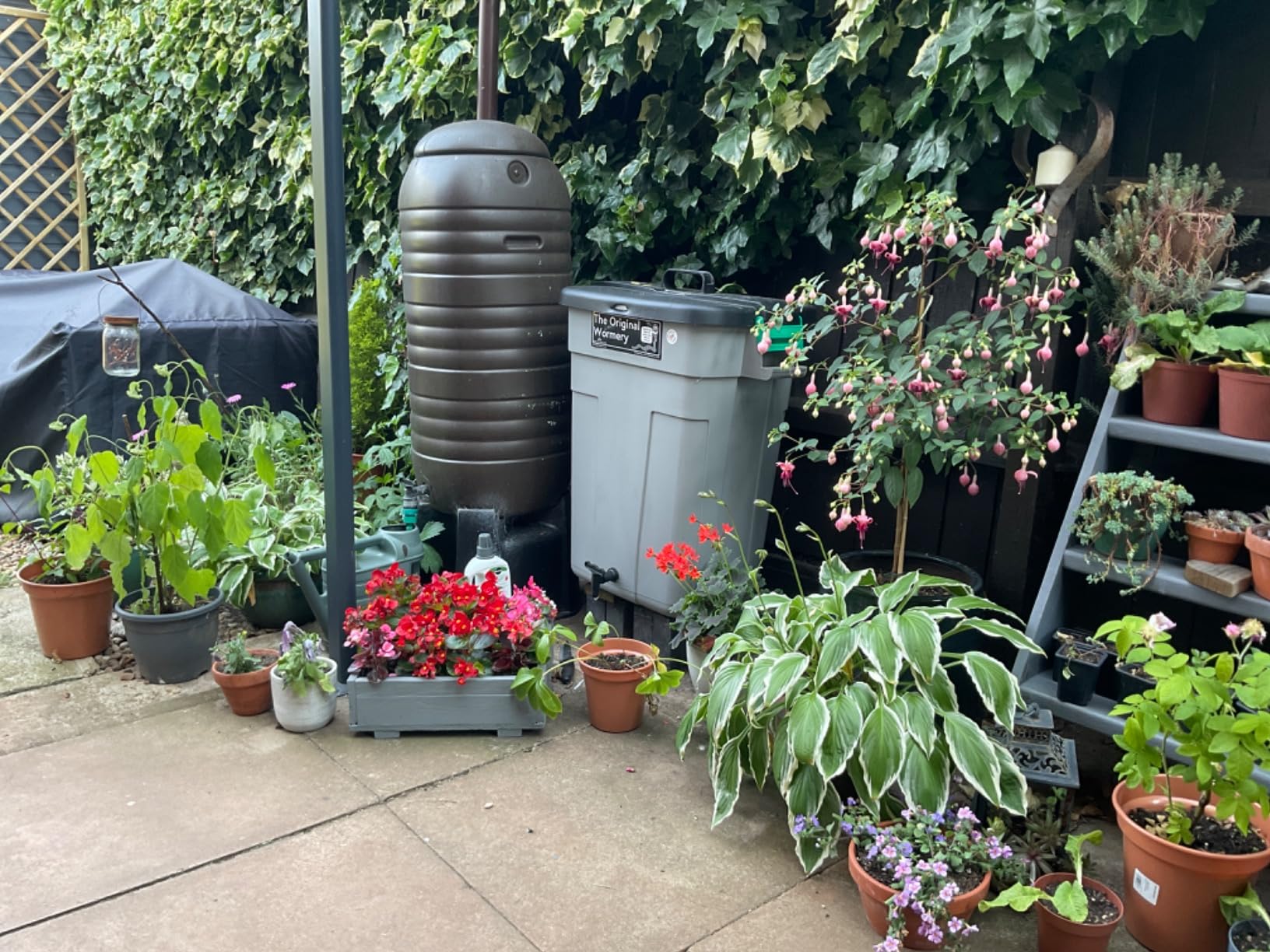 The Original Wormery - Classic Worm Farm for Home Composter - Includes ...