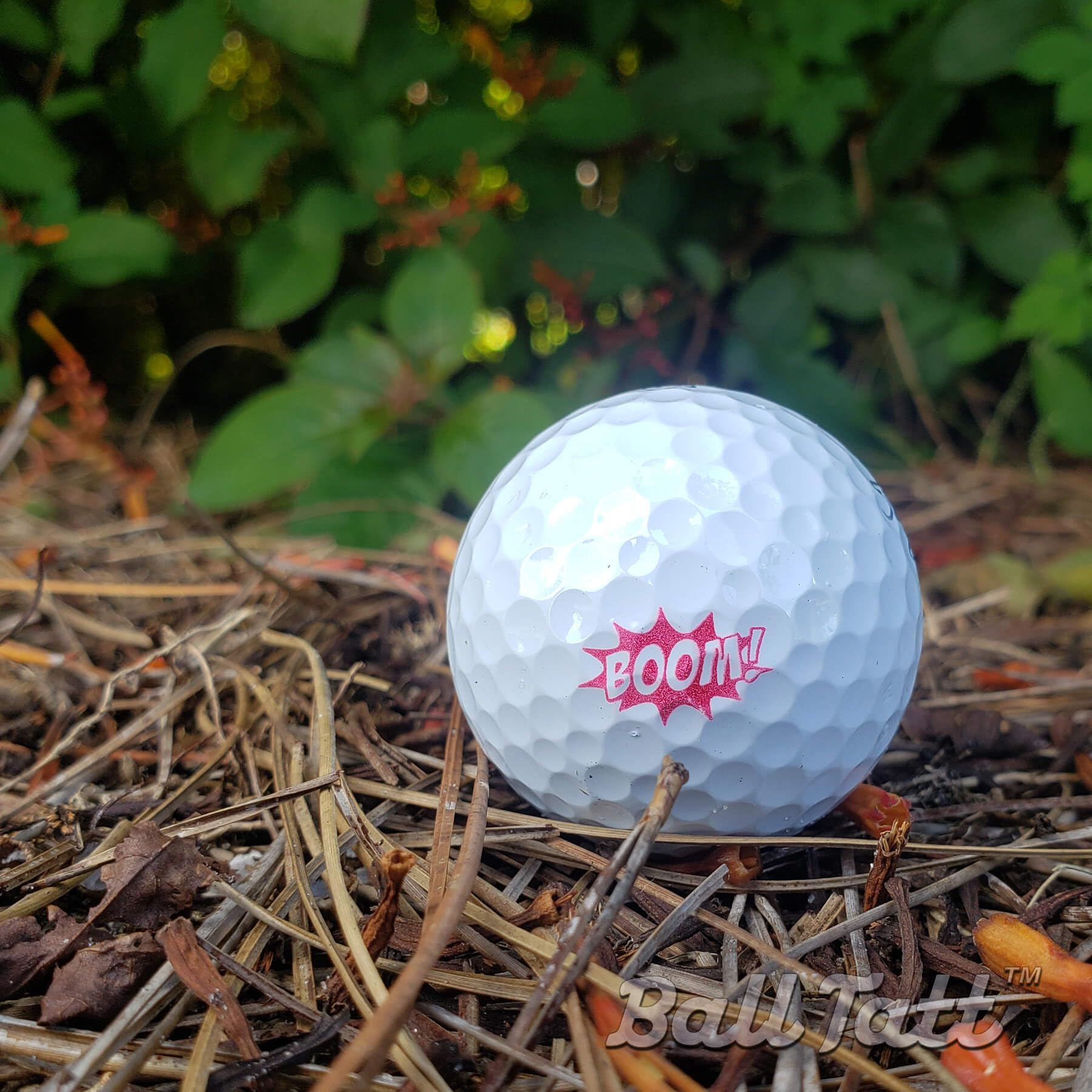 Snapklik.com : Boom Golf Ball Stamp, Golf Ball Stamper, Self-Inking ...