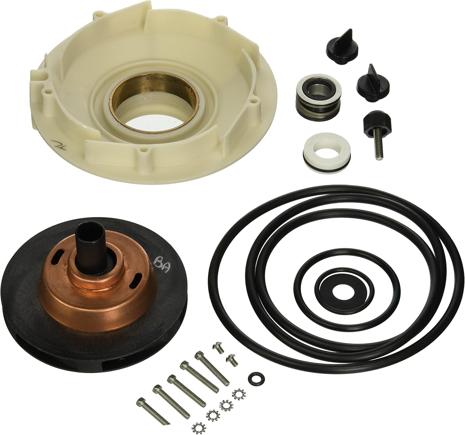 Amazon.com: Pentair PP4013 Seal/Gasket Kit - Includes shaft seal ...