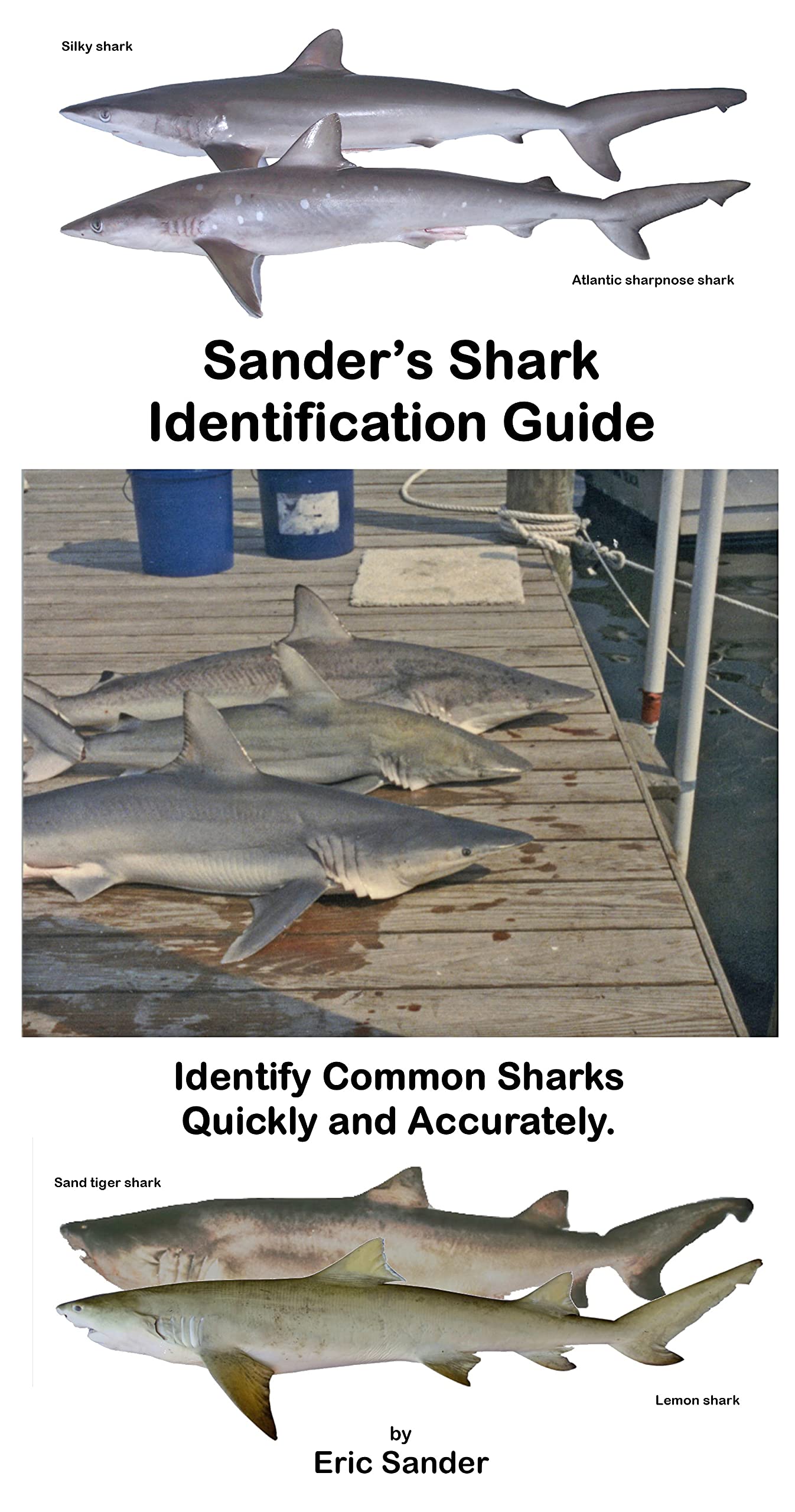Buy Tackle Box I.D. Sander's Shark Identification Guide - Identify 21 ...