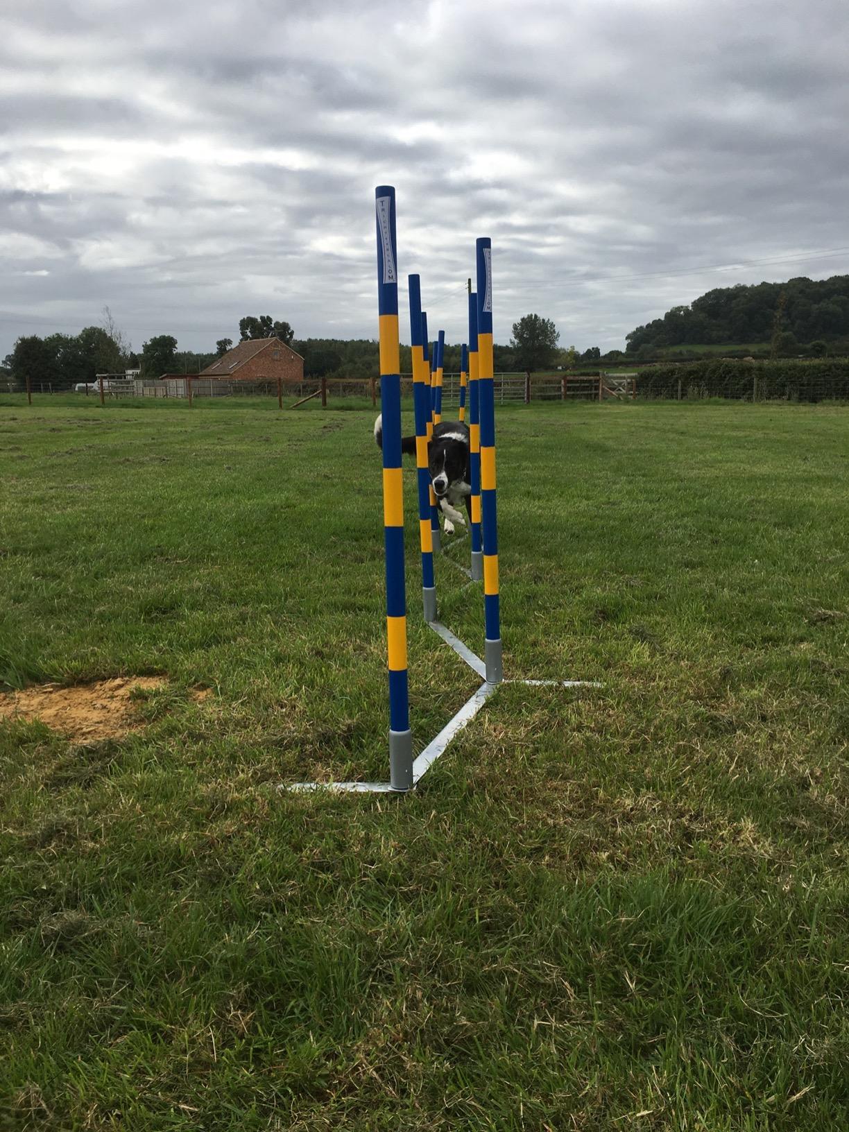 Callieway Orig Agility Slalom Agility Weaves, Funnel Slalom/Channel ...