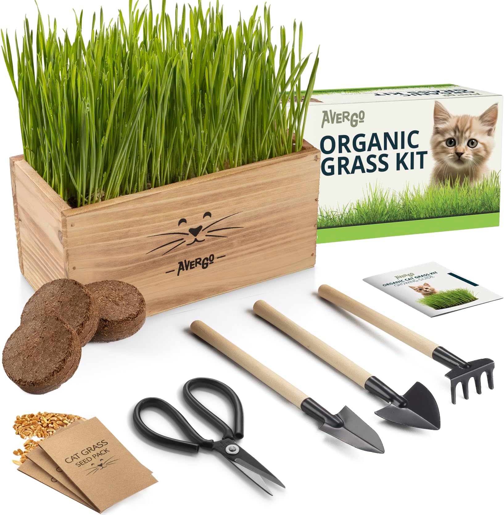 Amazon.com : Cat Grass Growing Kit- Organic, GMO-Free, USA : Patio ...