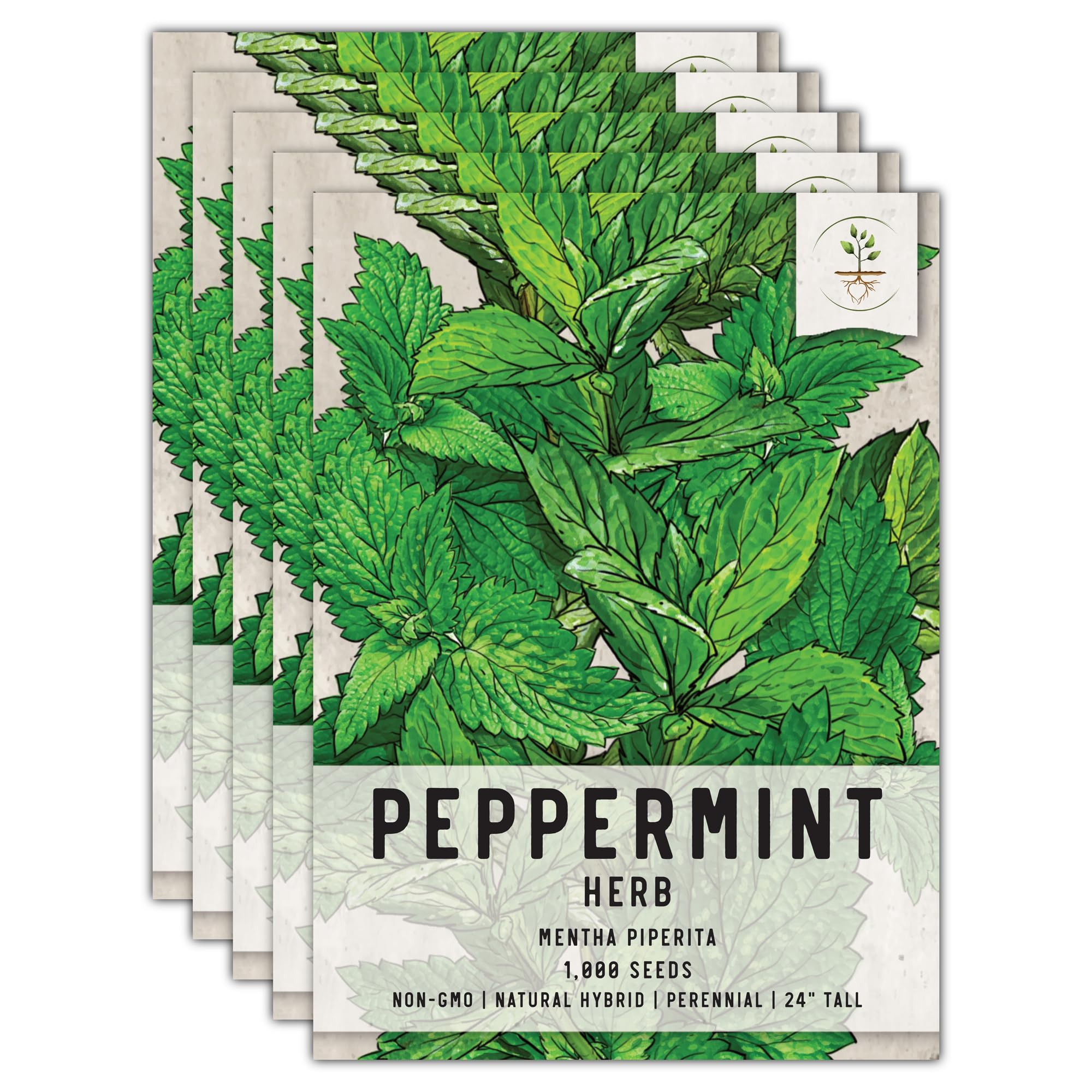 Amazon.com : Seed Needs, Peppermint Seeds - 1,000 Heirloom Seeds for ...