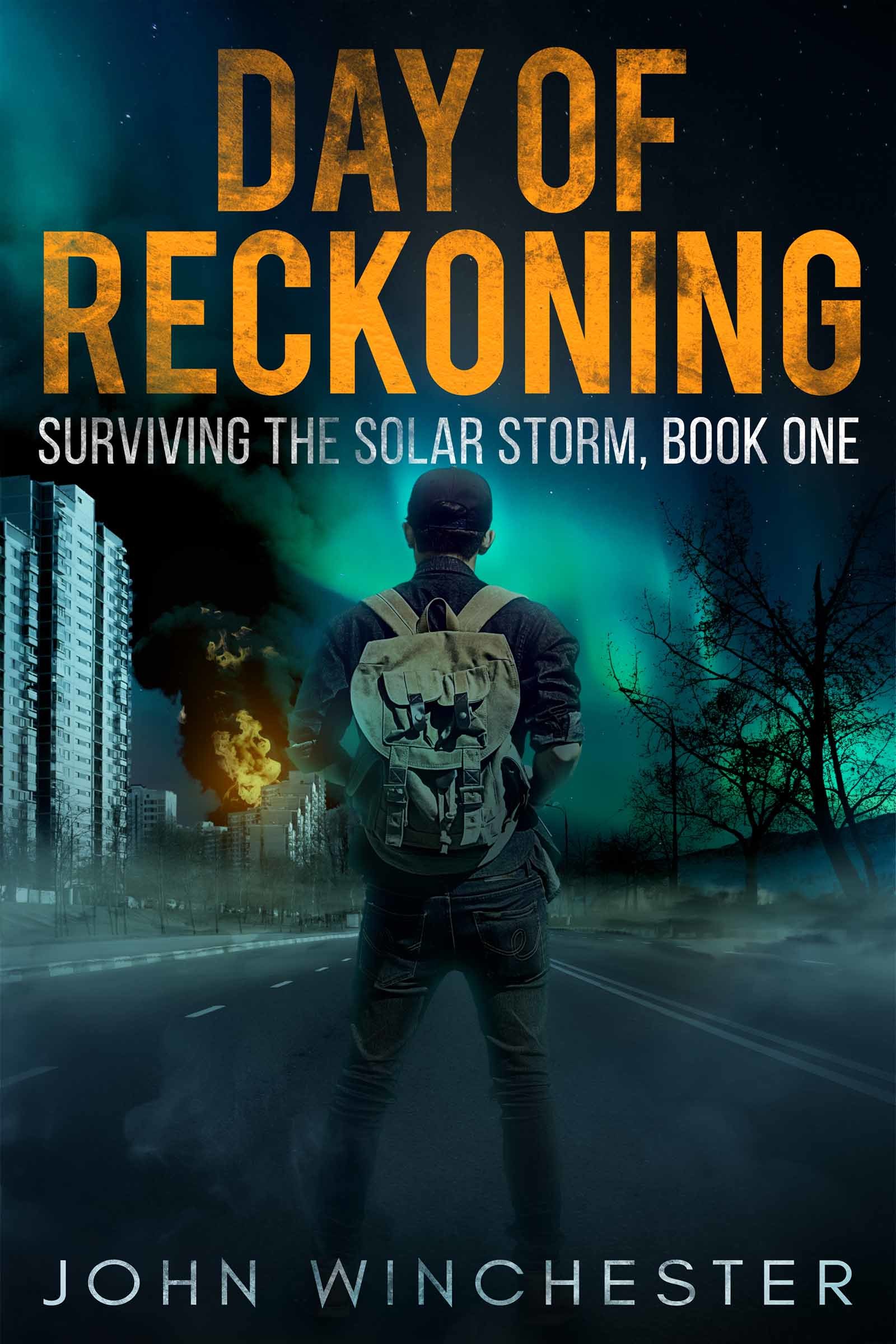 Amazon.com: Day of Reckoning: Surviving the Solar Storm, Book One eBook ...