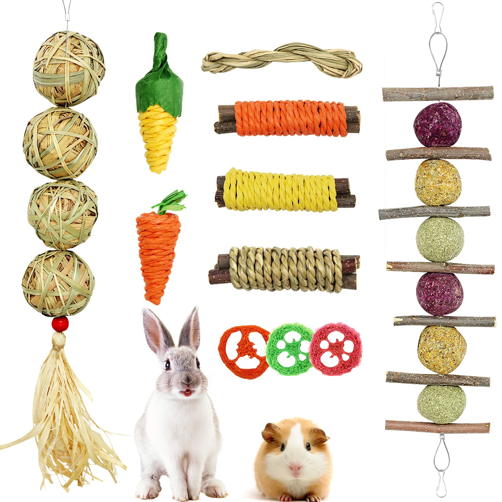 Hioph 11Pcs Rabbit Toys, Hamster Toys Rabbit Treats Bunny Chew for ...
