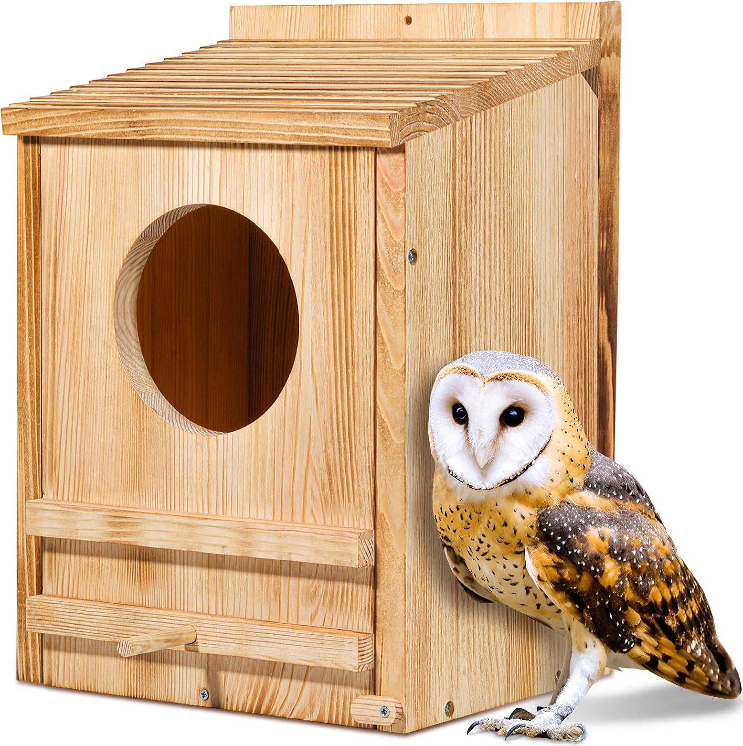 Amazon.com: Owl Nesting Box for Outside,Barn Nesting Box (brown01, 10 ...