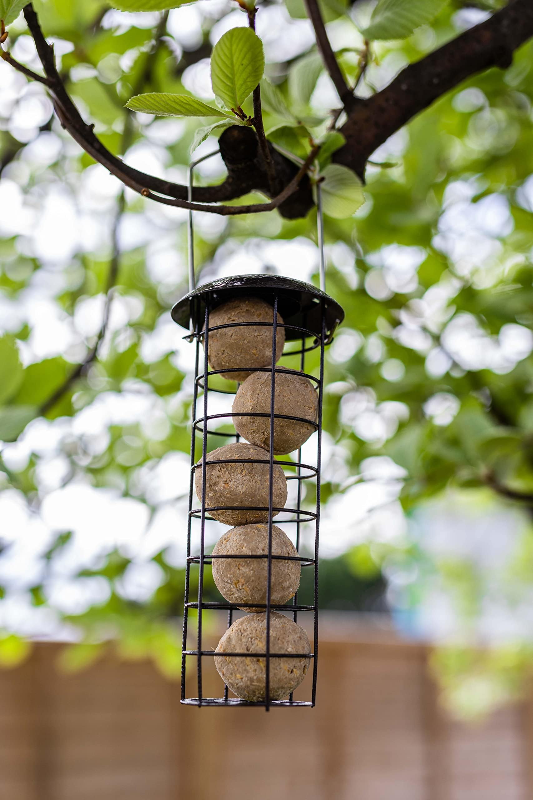 Kingfisher BF029 Standard Suet Fat Ball Feeder : Amazon.co.uk: Garden