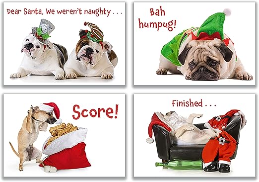 Amazon Funny Dog Christmas Cards Boxed With Envelopes Variety amazon-funny-dog-christmas-cards-boxed-with-envelopes-variety