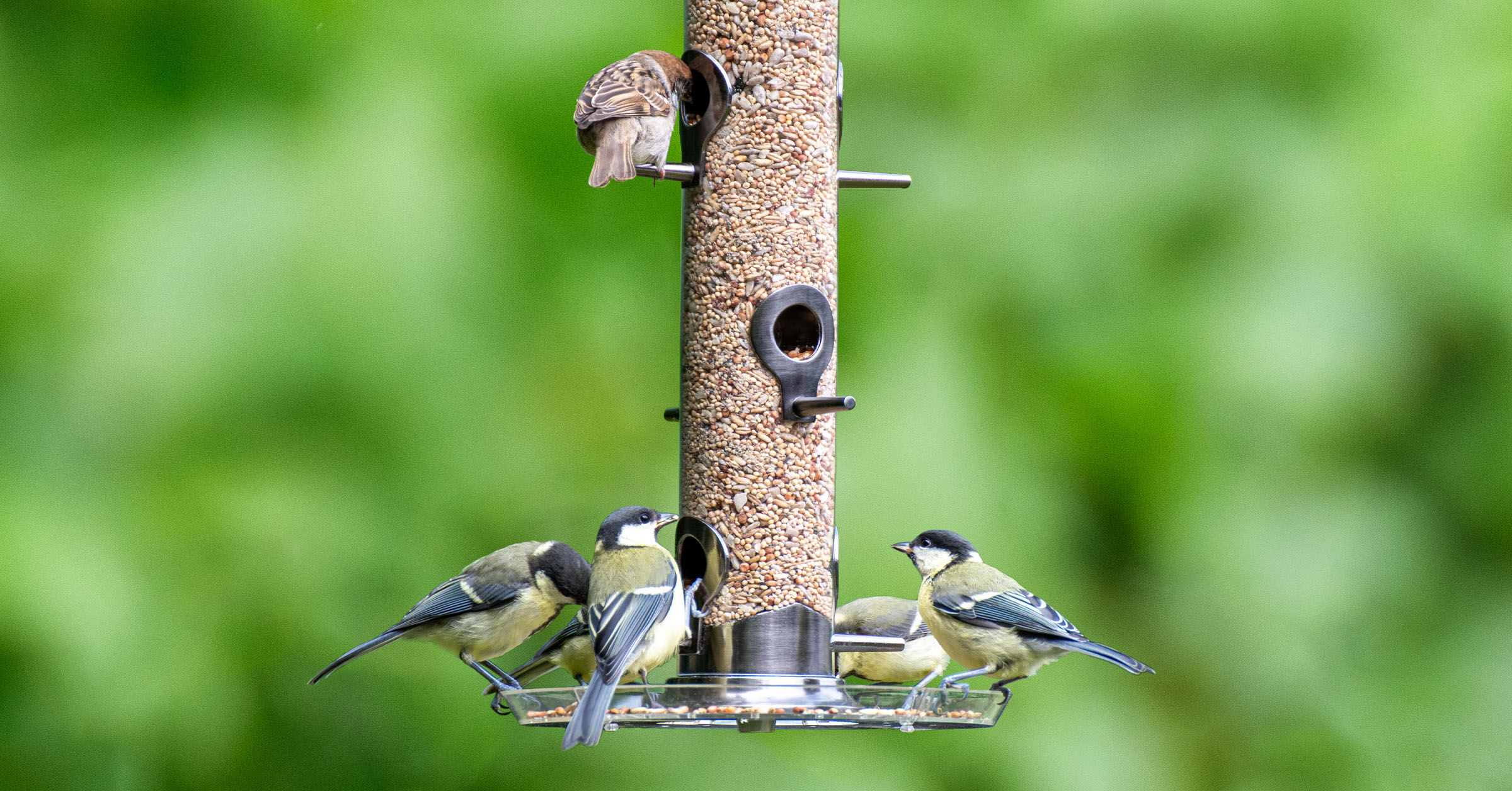 Wild Bird Seed 6-Port Metal Er With Seed Catcher - Brushed Copper ...