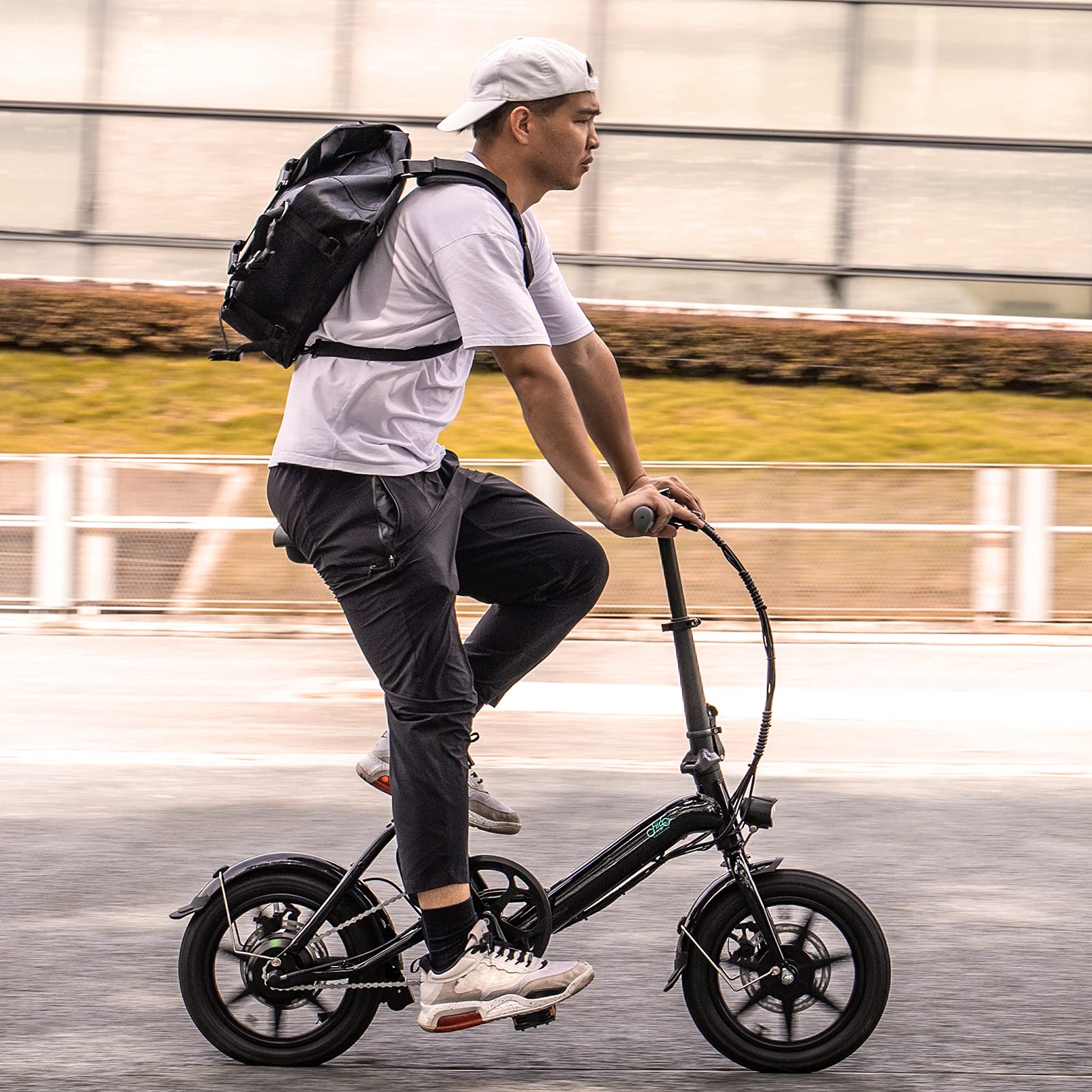 D3 Pro Fiido 14 Folding Ebike For Adults 250w Electric | Desertcart INDIA