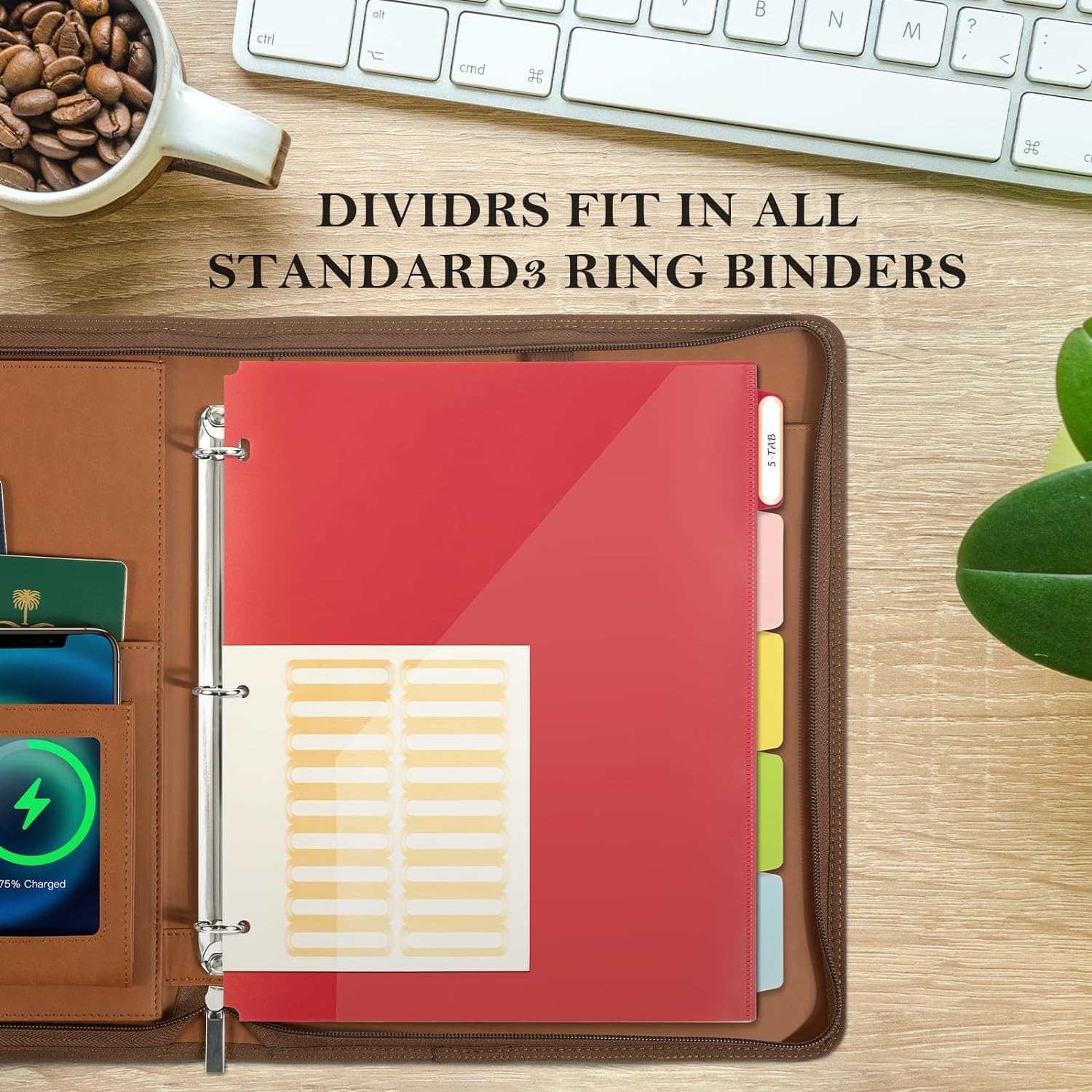 Snapklik.com : Colorful Binder Dividers