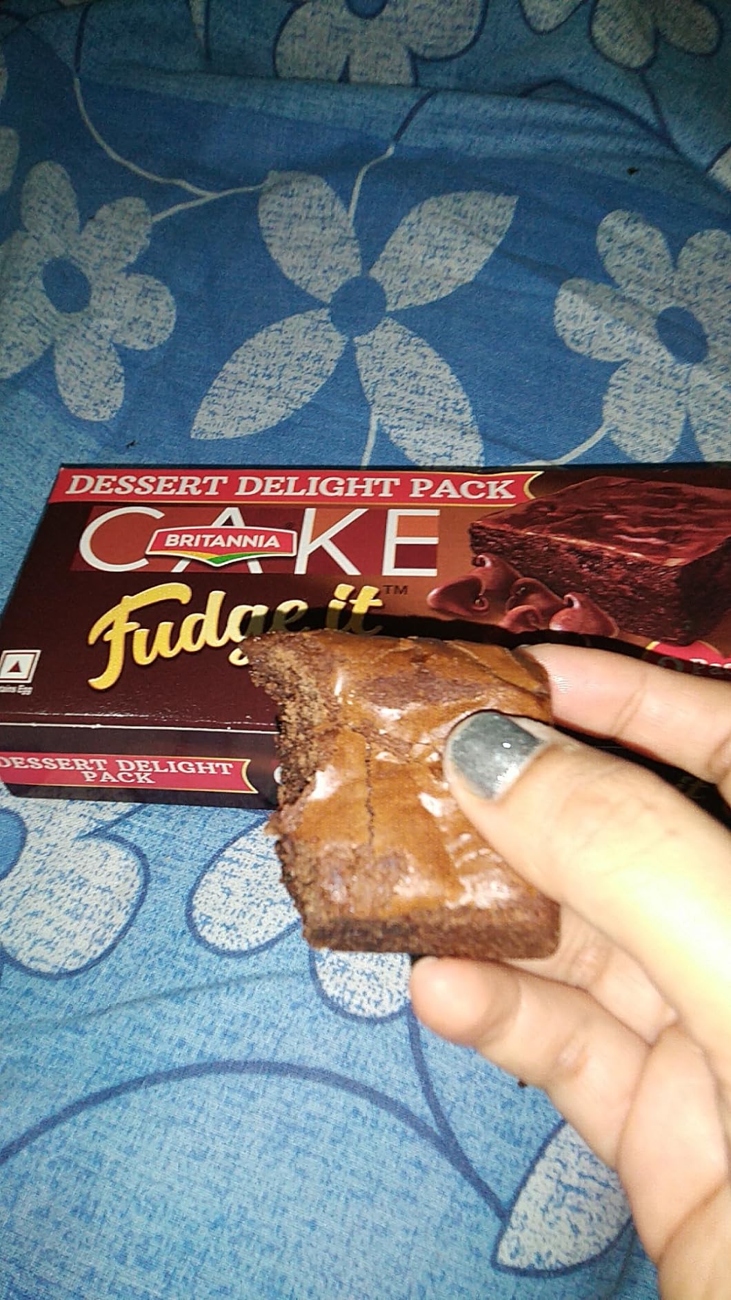 Britannia Cakes Fudge It Chocolate Brownie, 120 g : Amazon.in: Grocery ...