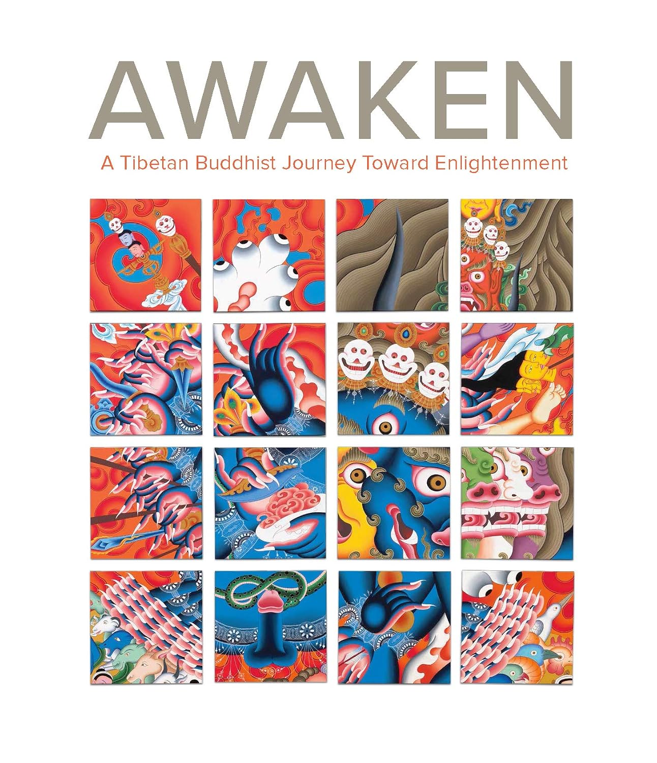 Amazon.com: Awaken: A Tibetan Buddhist Journey Toward Enlightenment ...