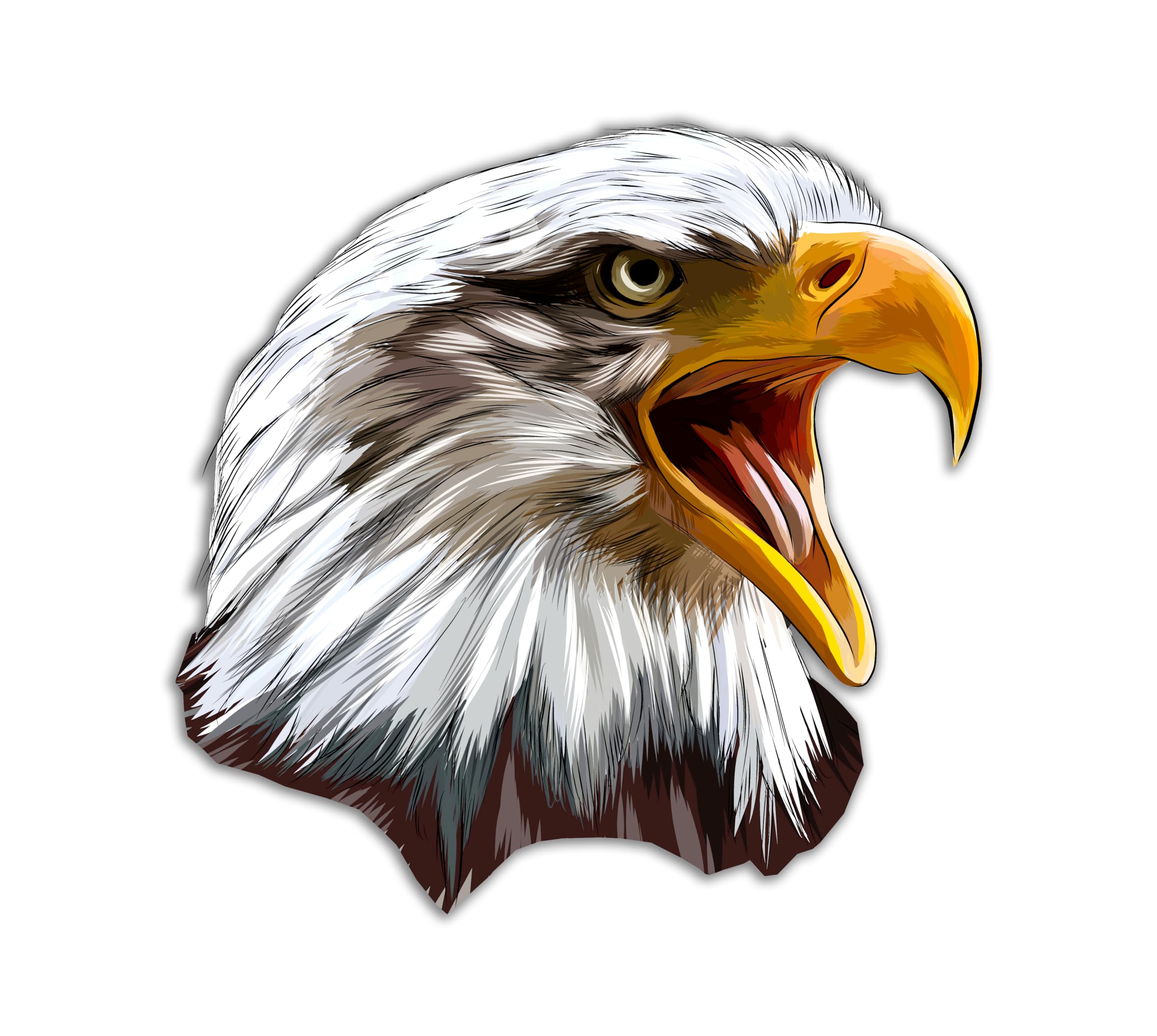 Amazon.com - Black Diamond Art American Bald Eagle Head Sticker ...