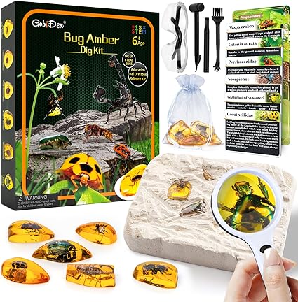 Amazon.com: Amber Dig Kit-Artificial Insect Resin, Excavate 6 Insects ...