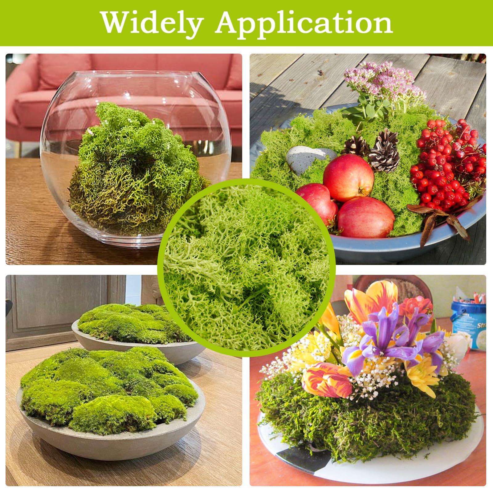 Snapklik.com : Moss Preserved,Fake Green Moss For Potted Plants ...