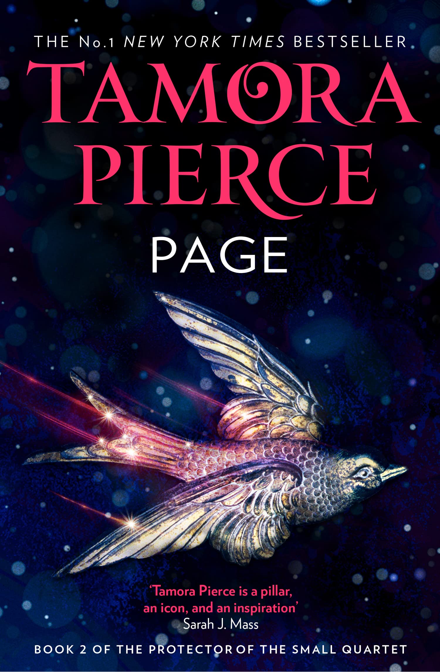 Page: Book 2 (The Protector of the Small Quartet) : Pierce, Tamora ...