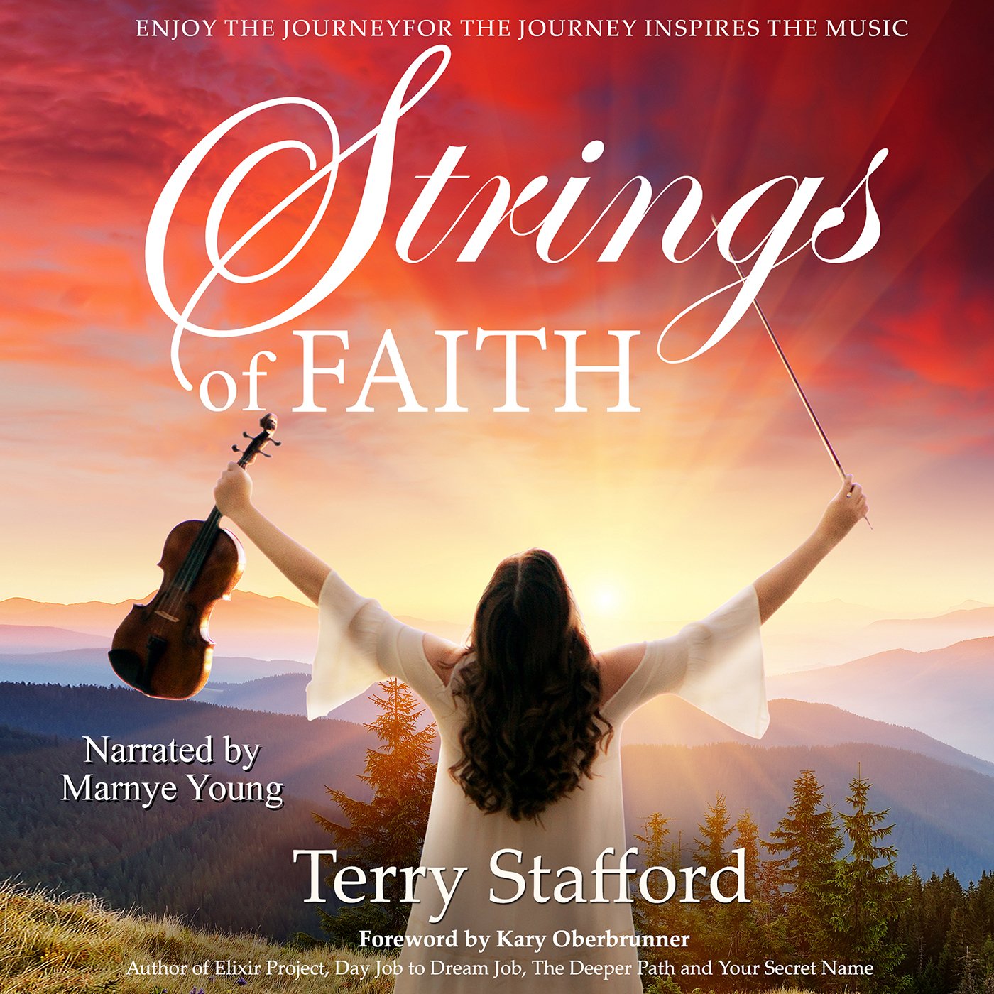 Amazon.com: Strings of Faith (Audible Audio Edition): Terry Stafford ...