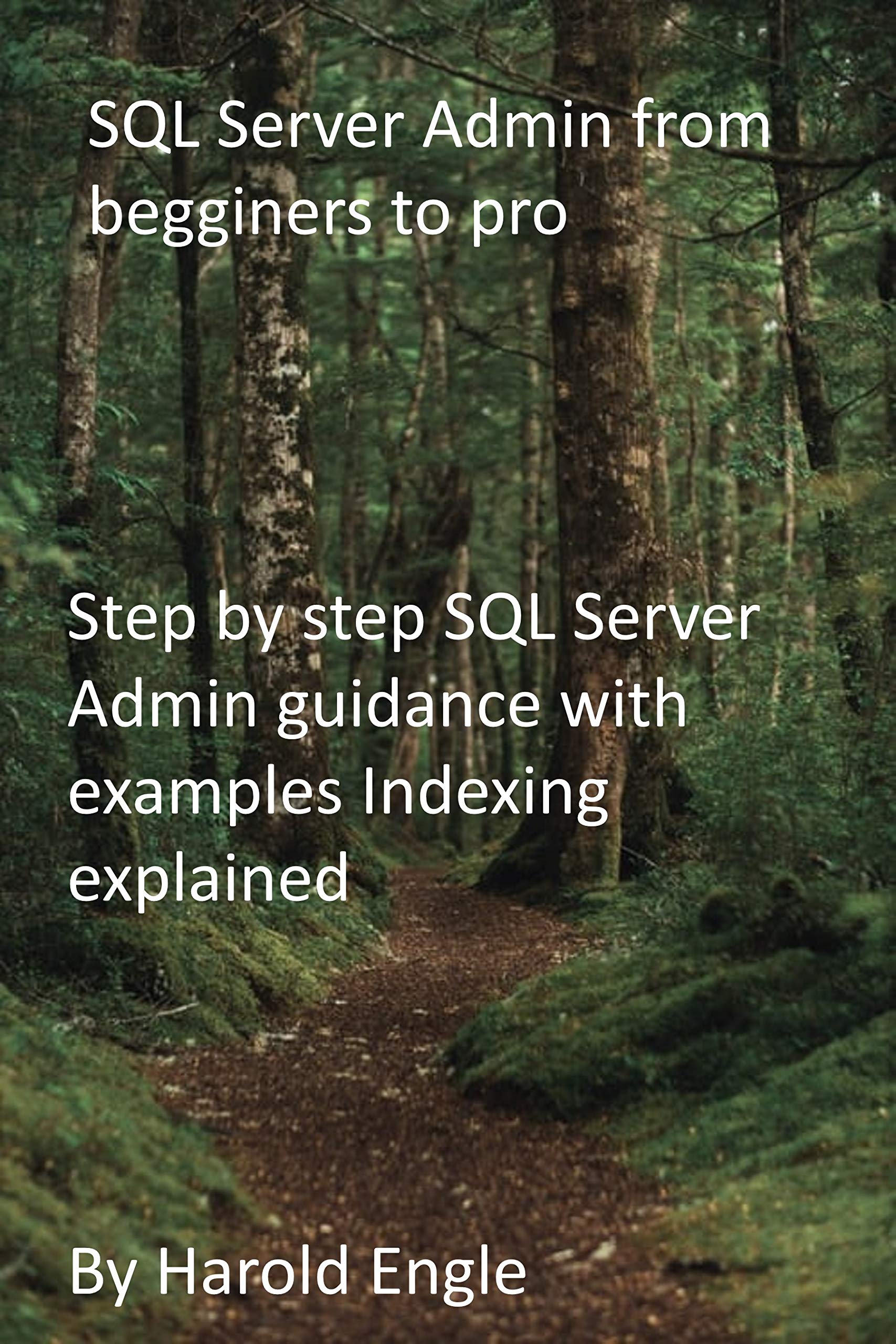 Sql Server Admin From Begginers To Pro Step By Step | Desertcart INDIA