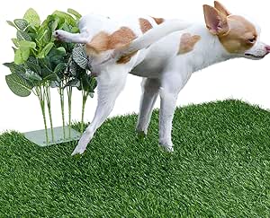 Amazon.com: Artificial Mosaic Plants Pee Post for Dogs Potty Training ...