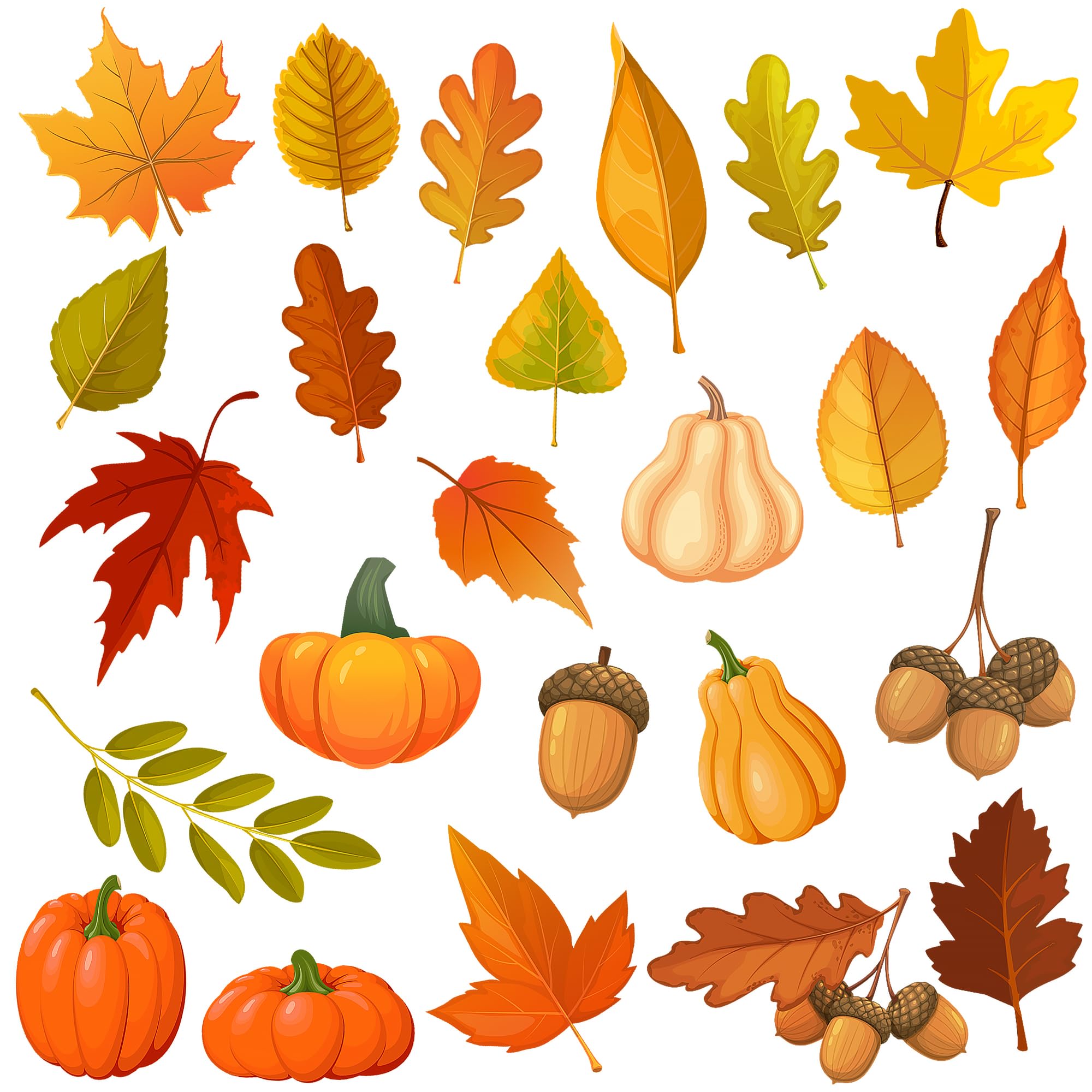 Fall Leaves And Pumpkins