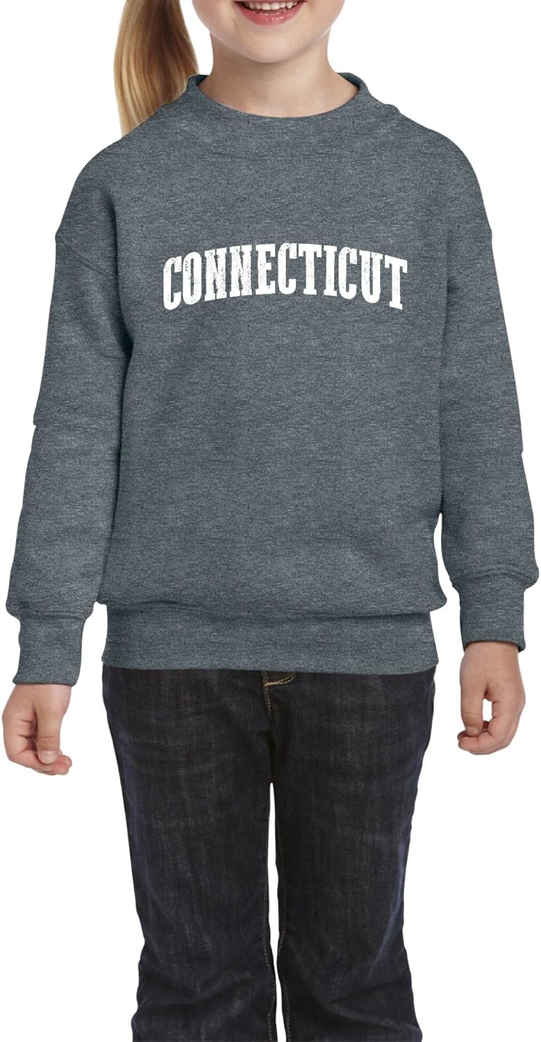 Amazon.com: Ugo CT Connecticut Map Flag Bridgeport Home of State ...